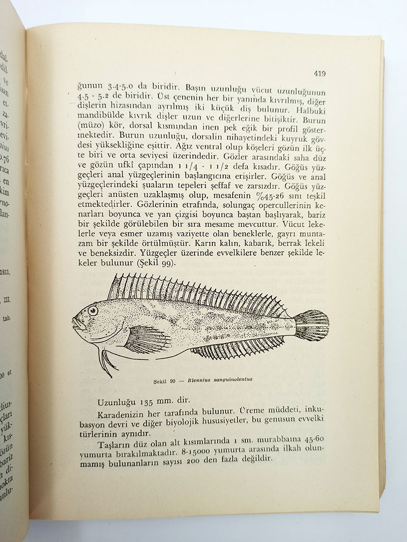 [THE BLACK SEA / FISHES / HYDROBIOLOGY] The fishes of the Black Sea ...