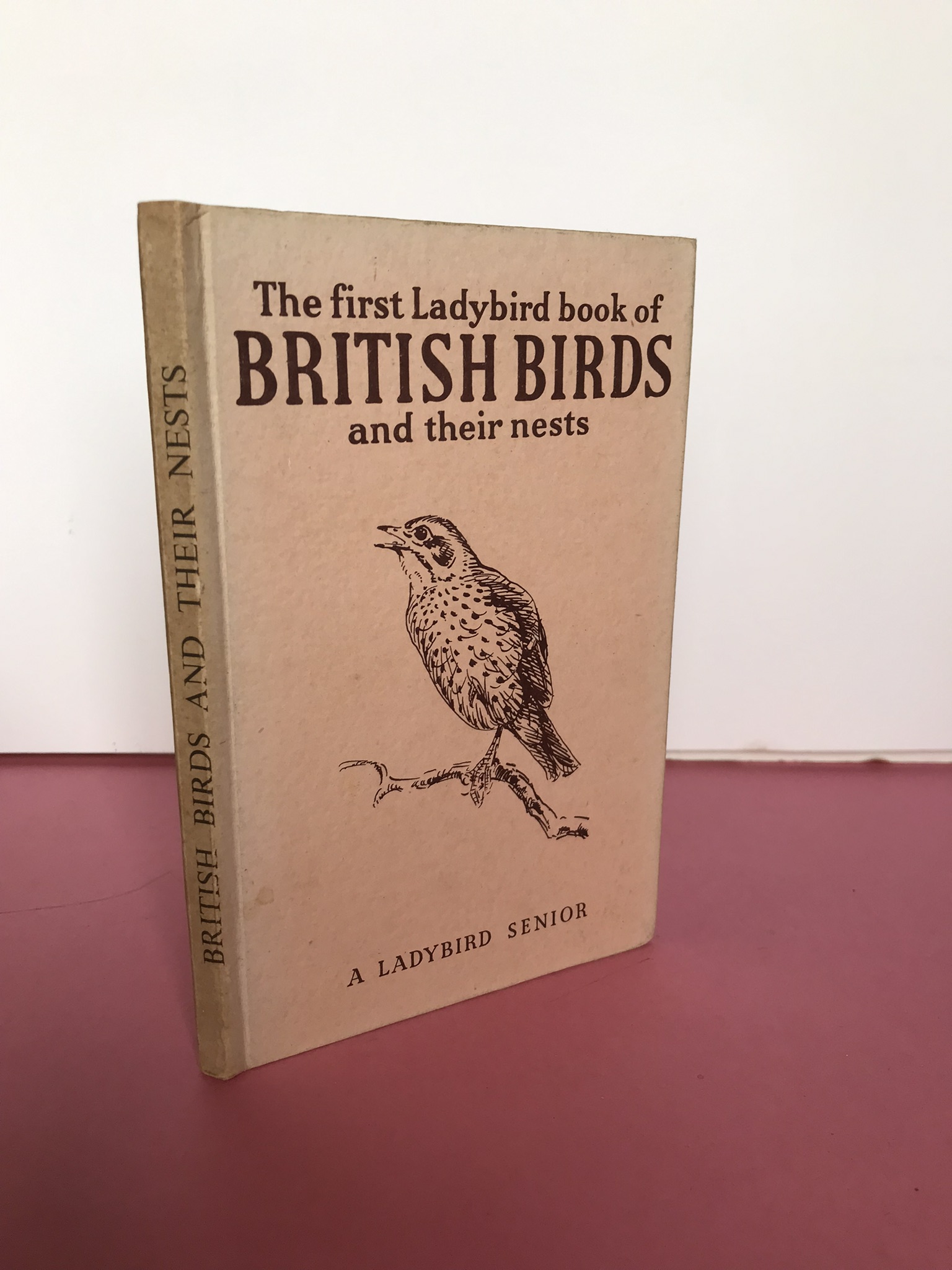 A FIRST BOOK OF BRITISH BIRDS AND THEIR NESTS [A Ladybird Senior Book ...