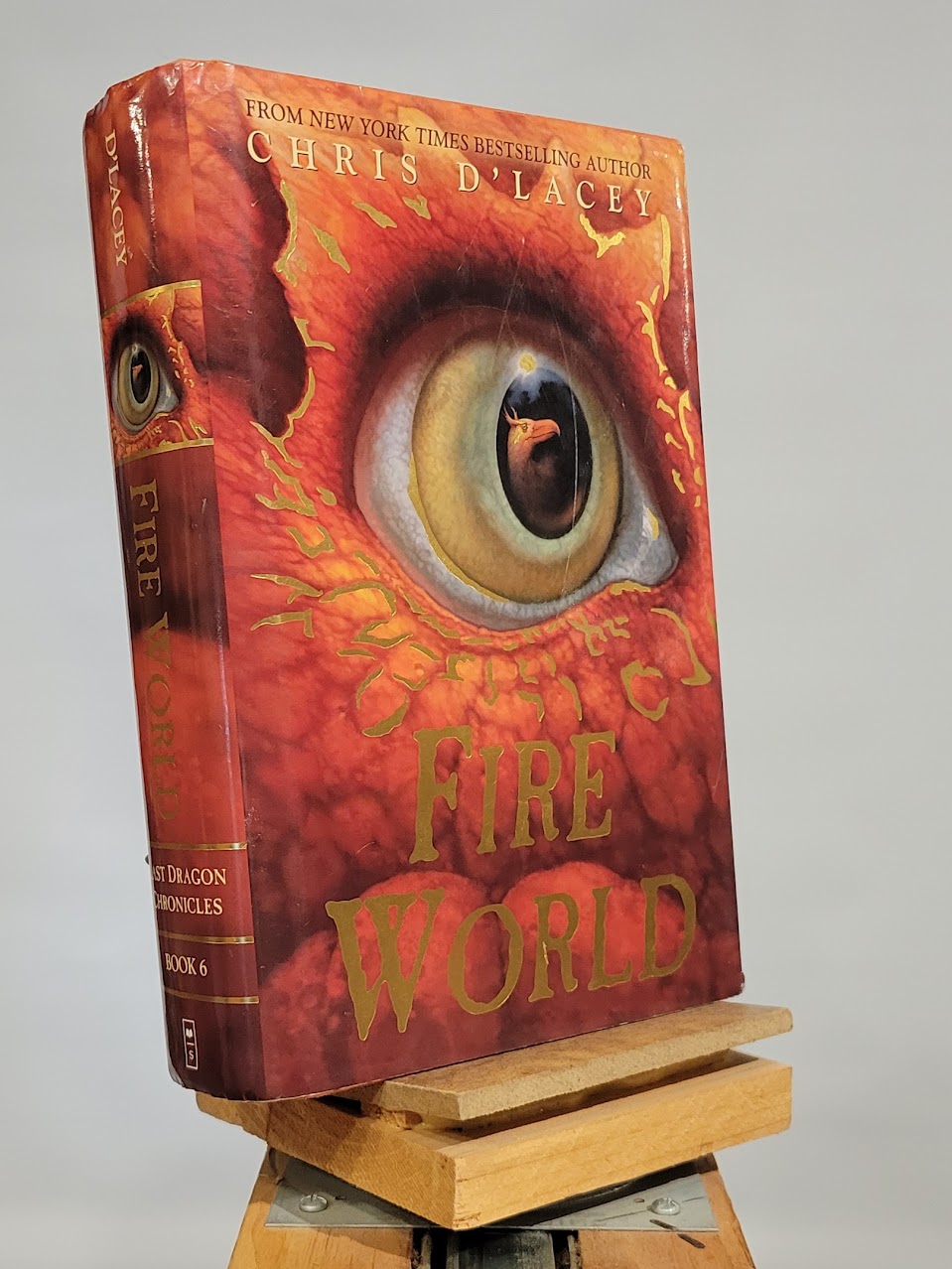 Fire World (Last Dragon Chronicles, Book 6) by D'Lacey, Chris: Very ...