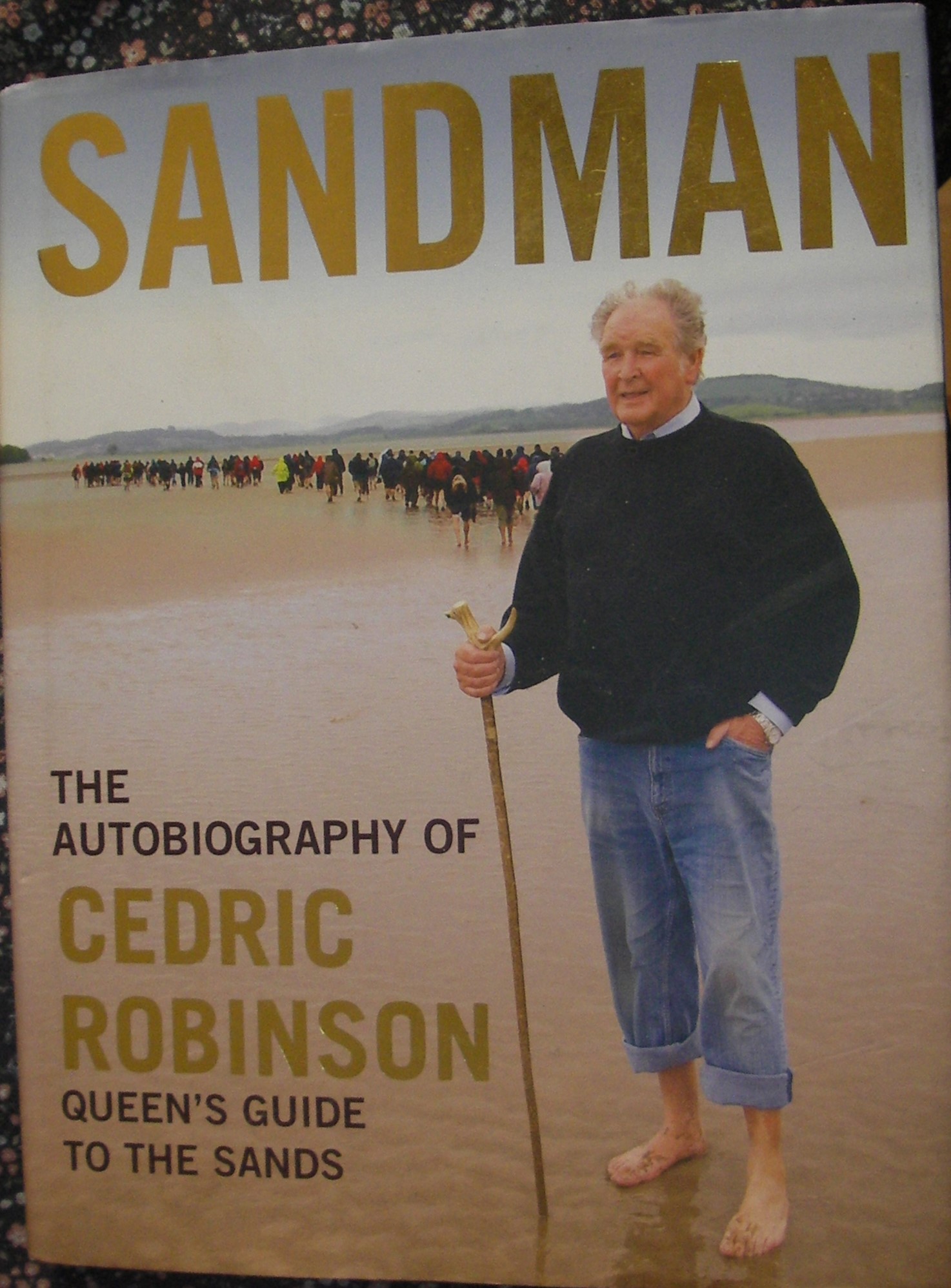 Sandman: The Autobiography of Cedric Robinson - The Queen's Guide to ...