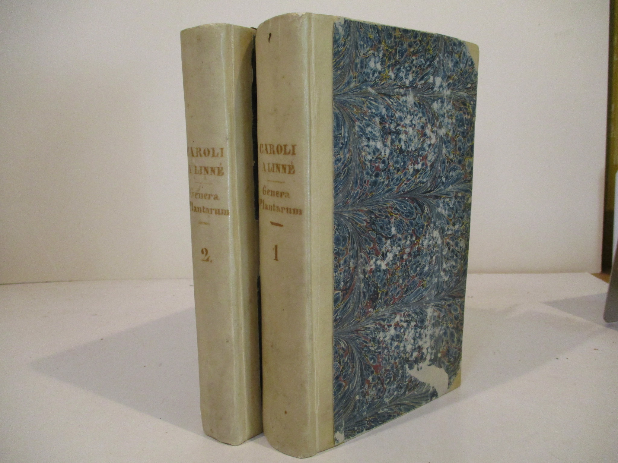 Genera Plantarum eorumque Characteres naturales secundum numerum ...