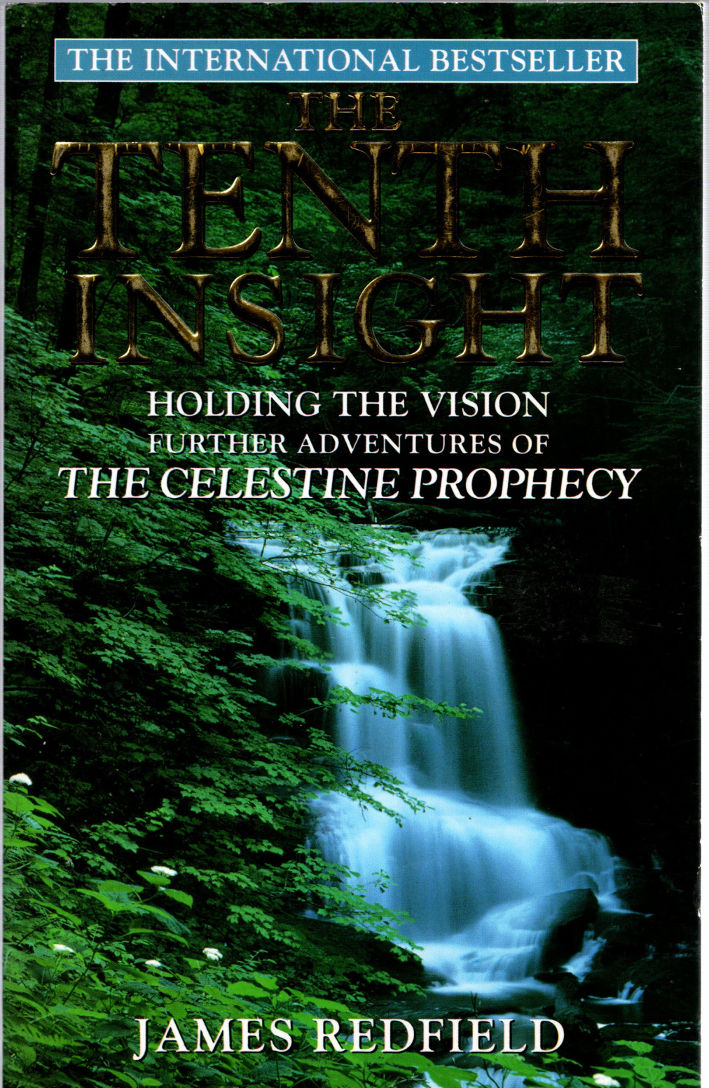 The Tenth Insight: Holding the Vision by Redfield, James: Very Good ...