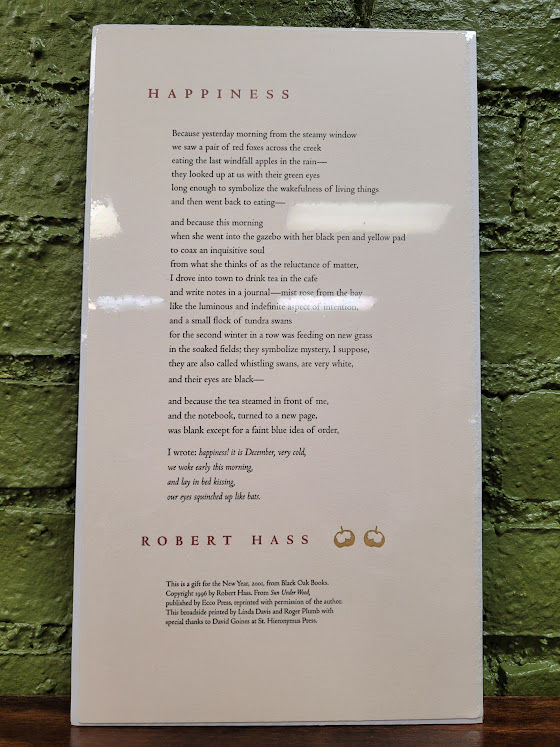 The Cold Rain Of Happiness