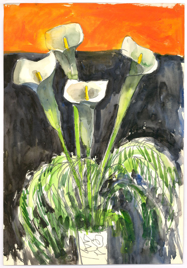 Peter Collins ARCA - 20th Century Watercolour, Calla Lilies von Peter ...