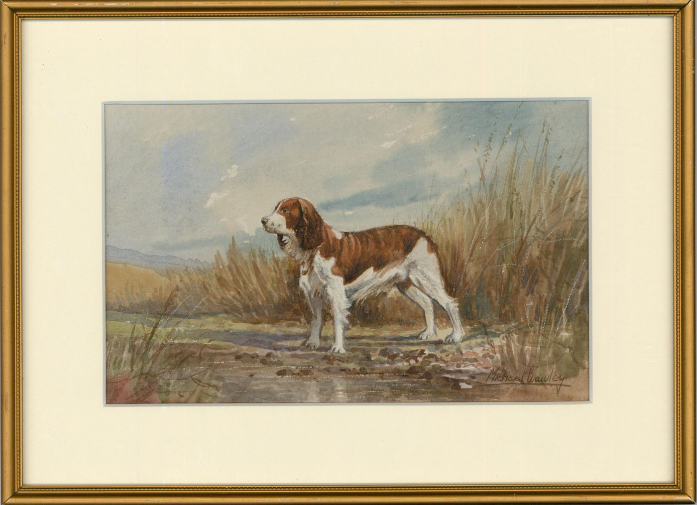 Michael Crawley - 20th Century Watercolour, Springer Spaniel von ...