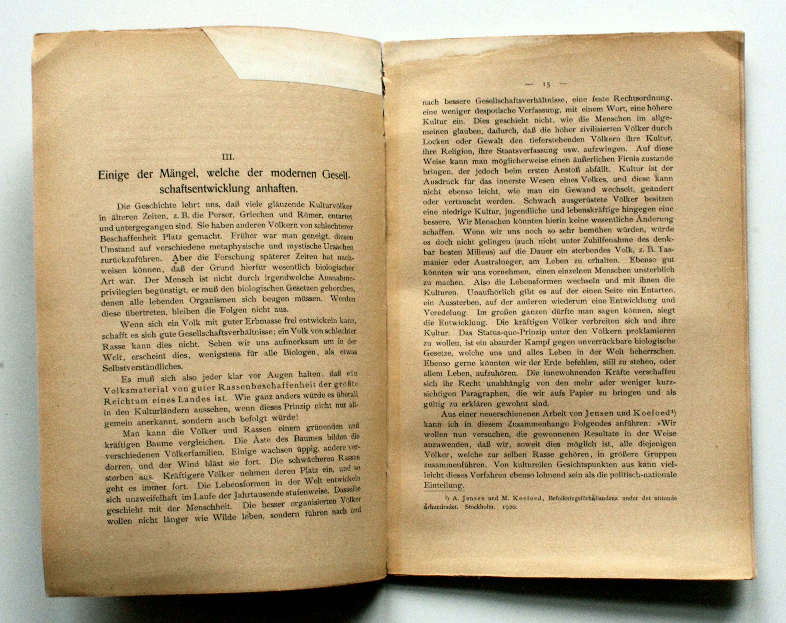 Rassenbiologische Übersichten und Perspektiven. von Lundborg, Herman ...
