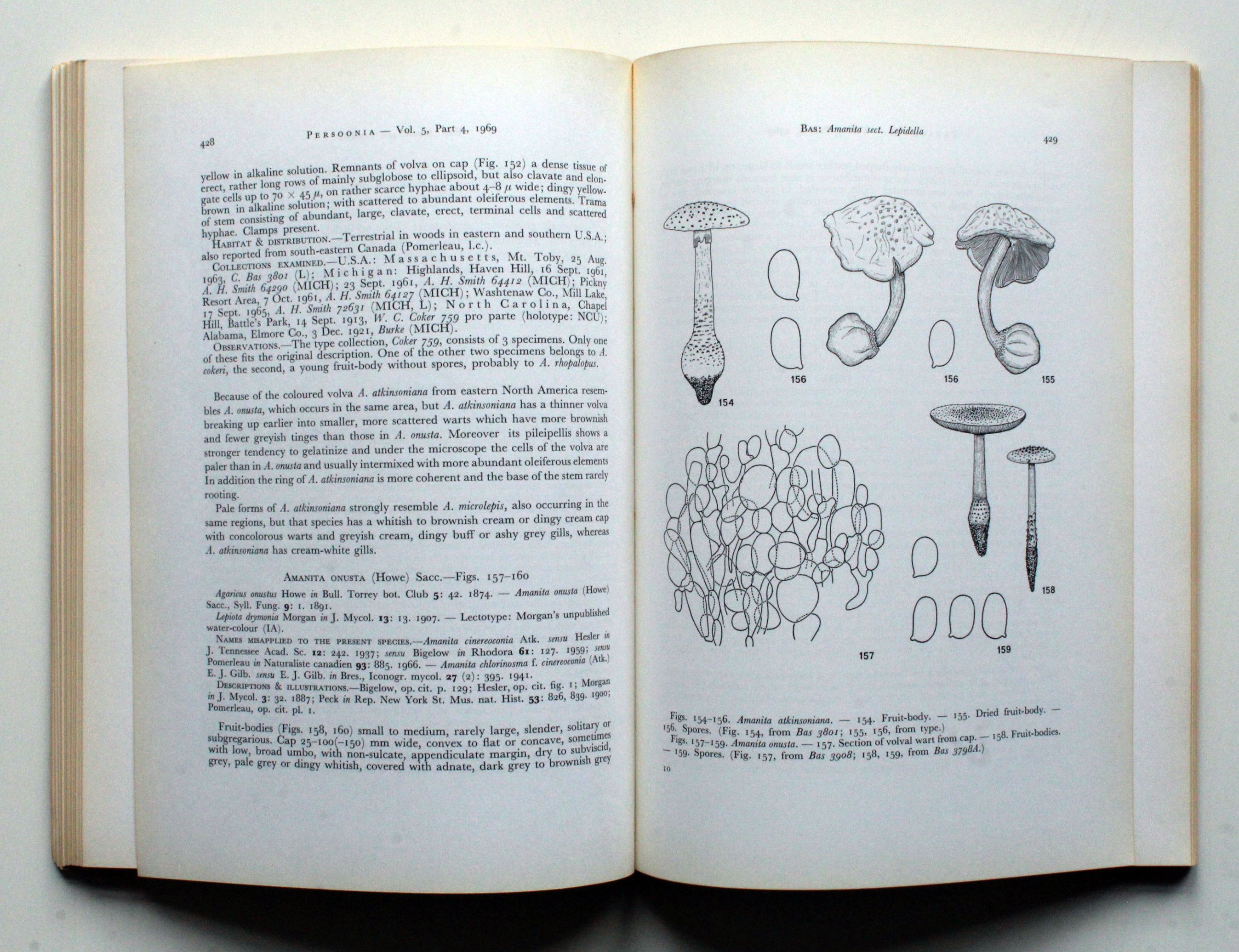 Morphology and subdivision of Amanita and a monograph on its section ...