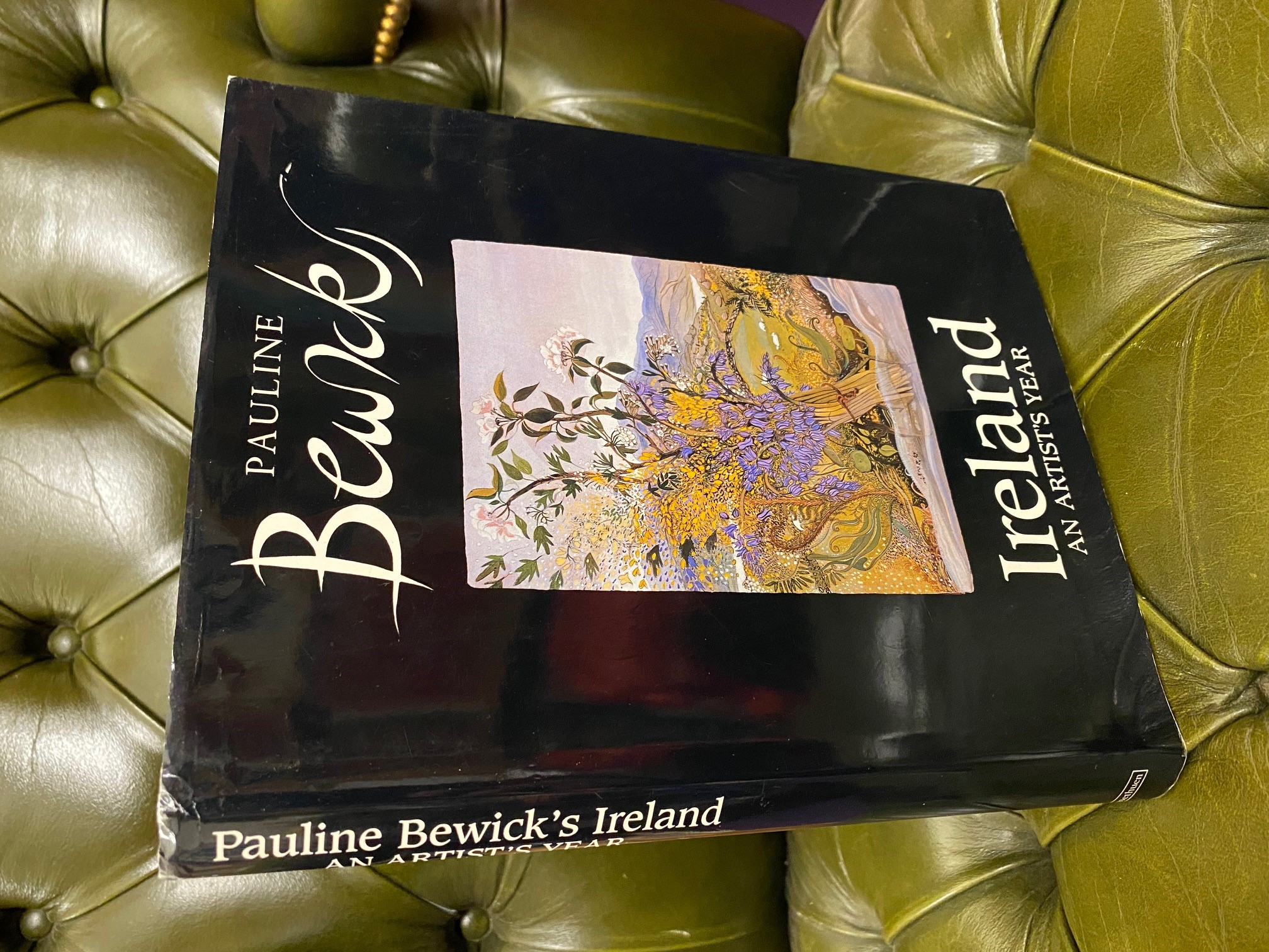 Pauline Bewick: Ireland An Artist's Year by Bewick, Pauline: Very Good ...