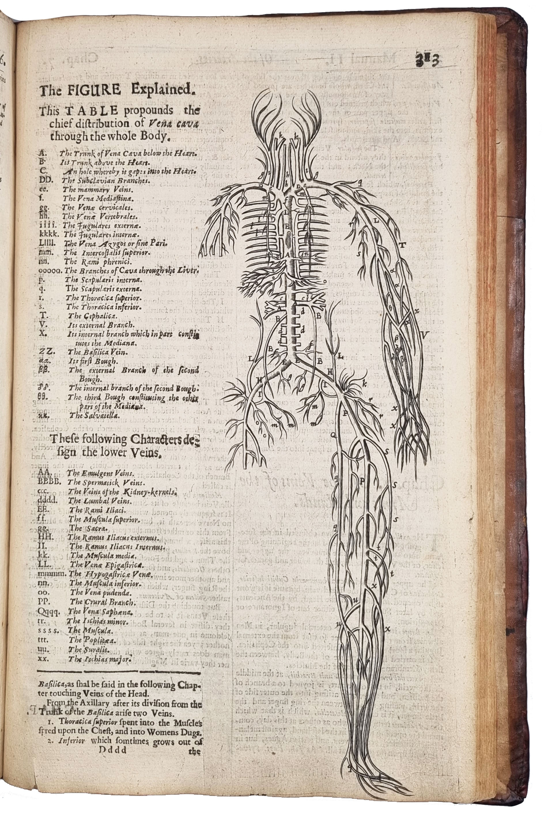 Bartholinus Anatomy. by BARTHOLIN, Thomas, attr.; CULPEPER, Nicholas ...