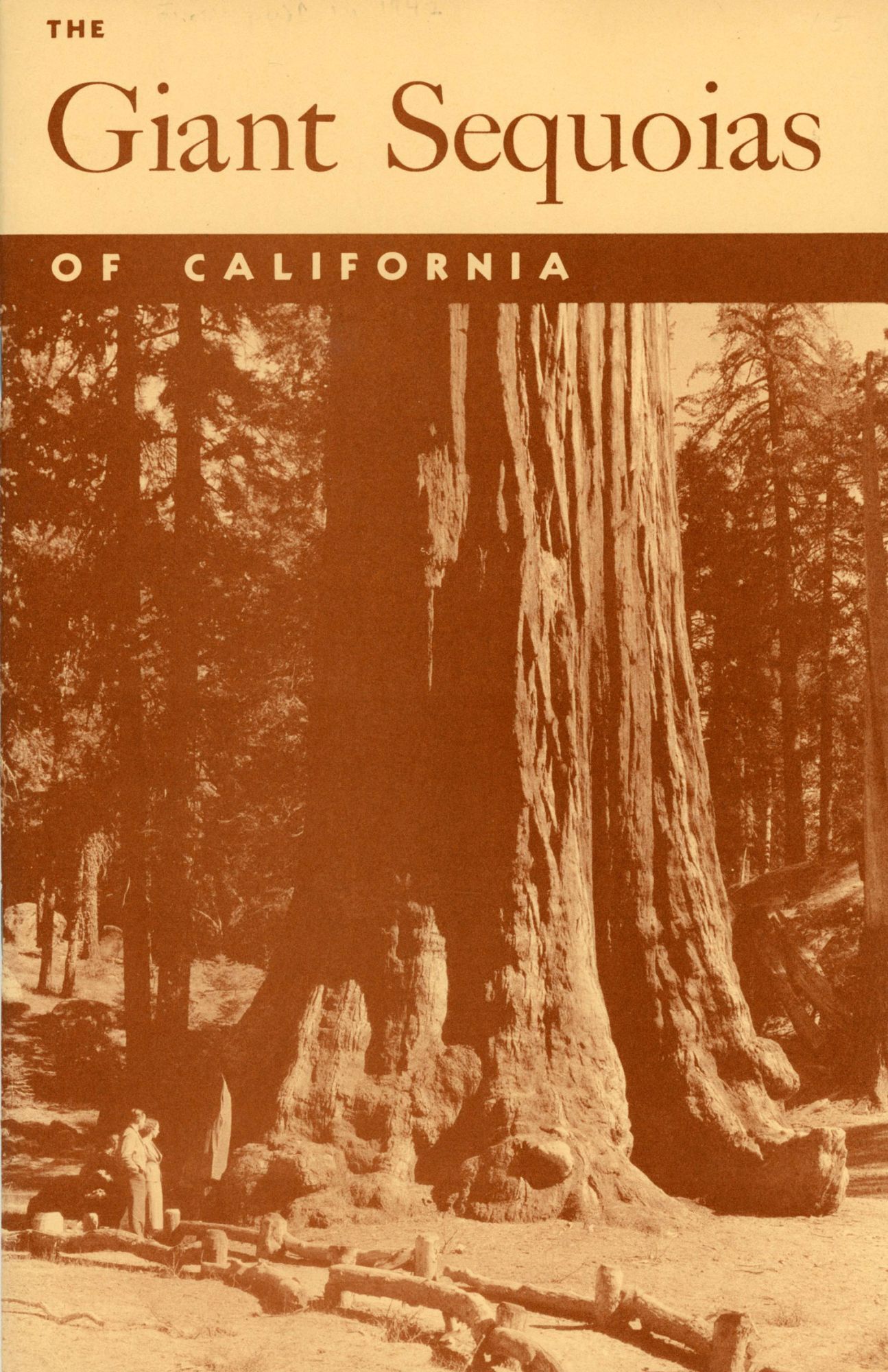 The giant sequoias of California by Lawrence F. Cook . by COOK ...