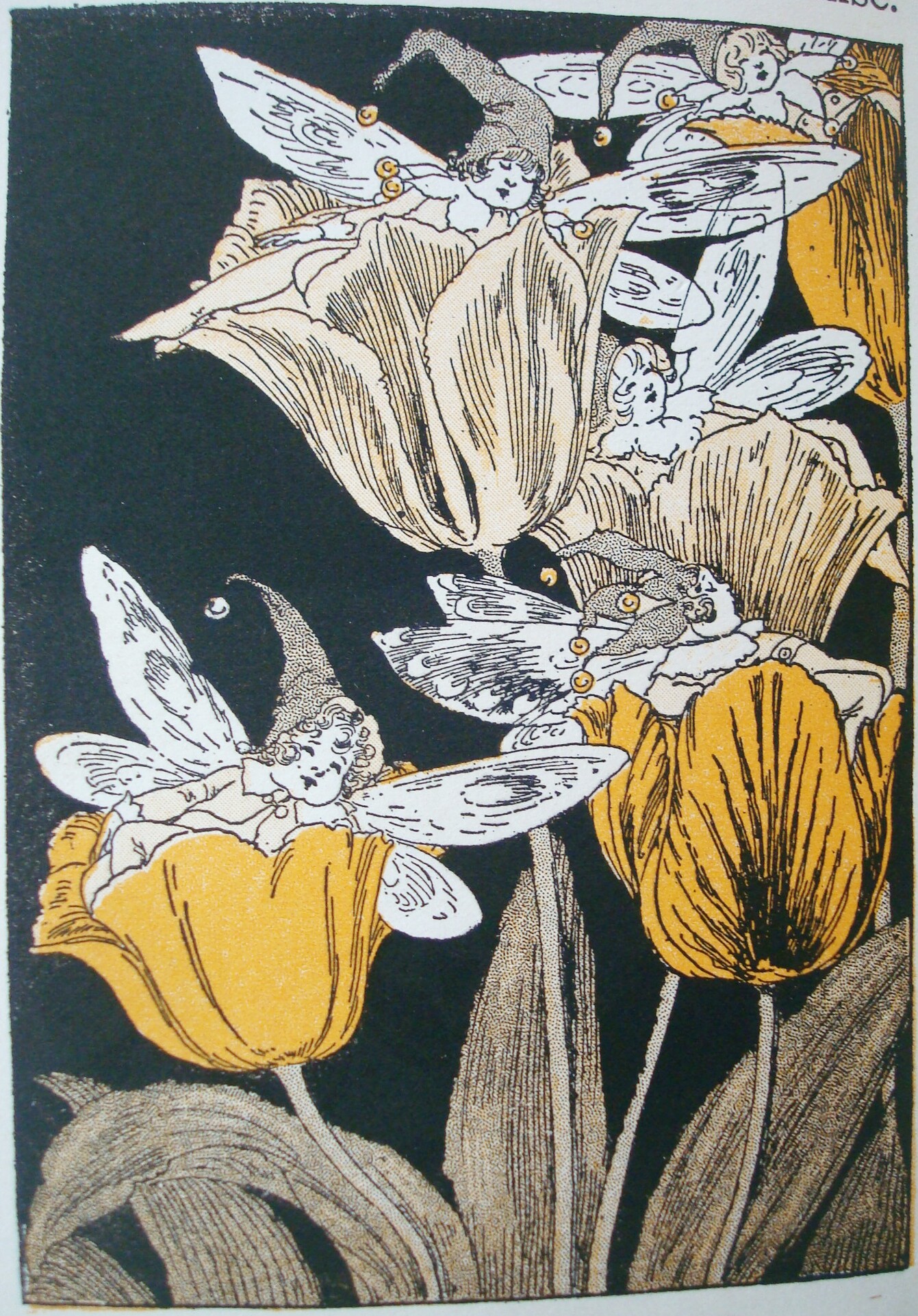 Mother Bunny and her Flowers by SMITH, Laura Rountree: Good Hardcover ...