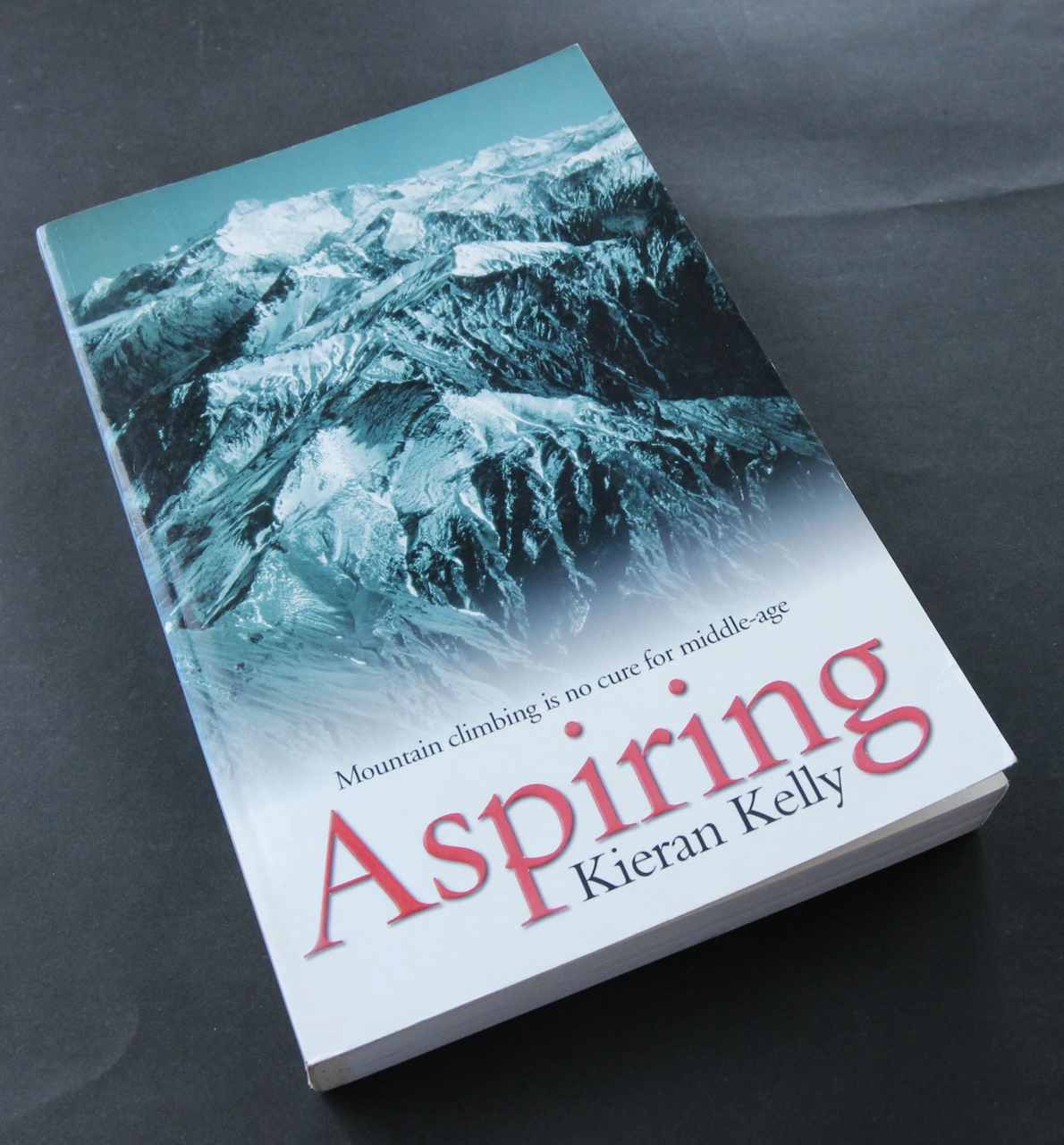 Aspiring by Kieran Kelly: Near Fine Soft cover (2008) 1st Edition ...