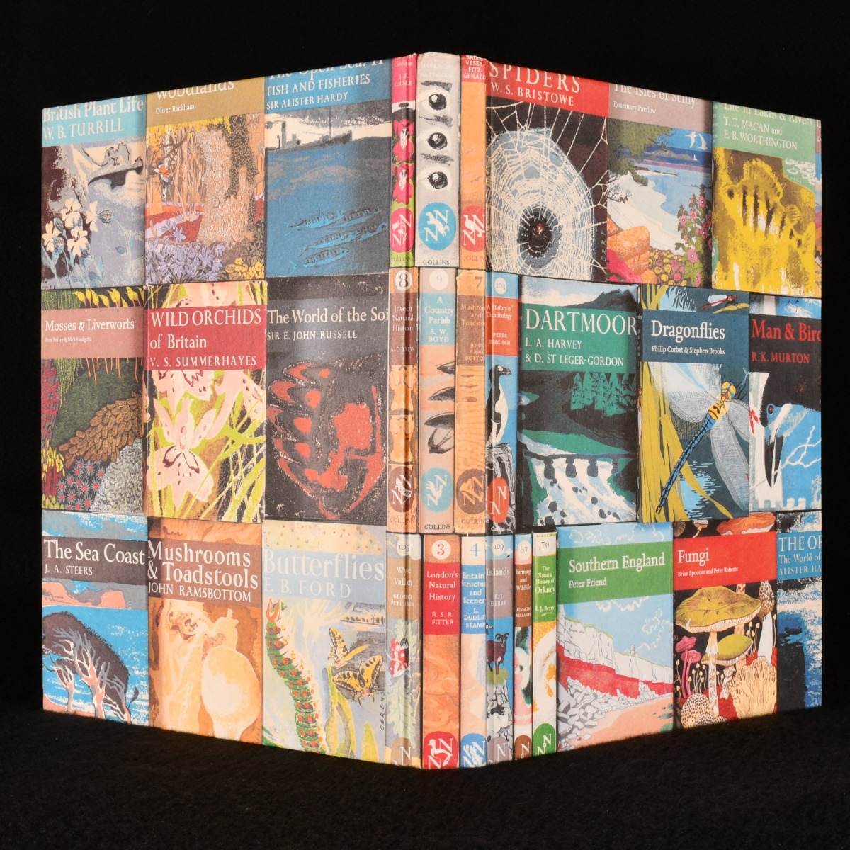 Art of the New Naturalists: Forms from Nature by Peter Marren; Robert ...