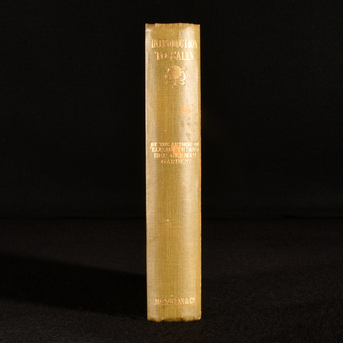 Introduction to Sally by Elizabeth von Arnim: Very Good Cloth (1926 ...