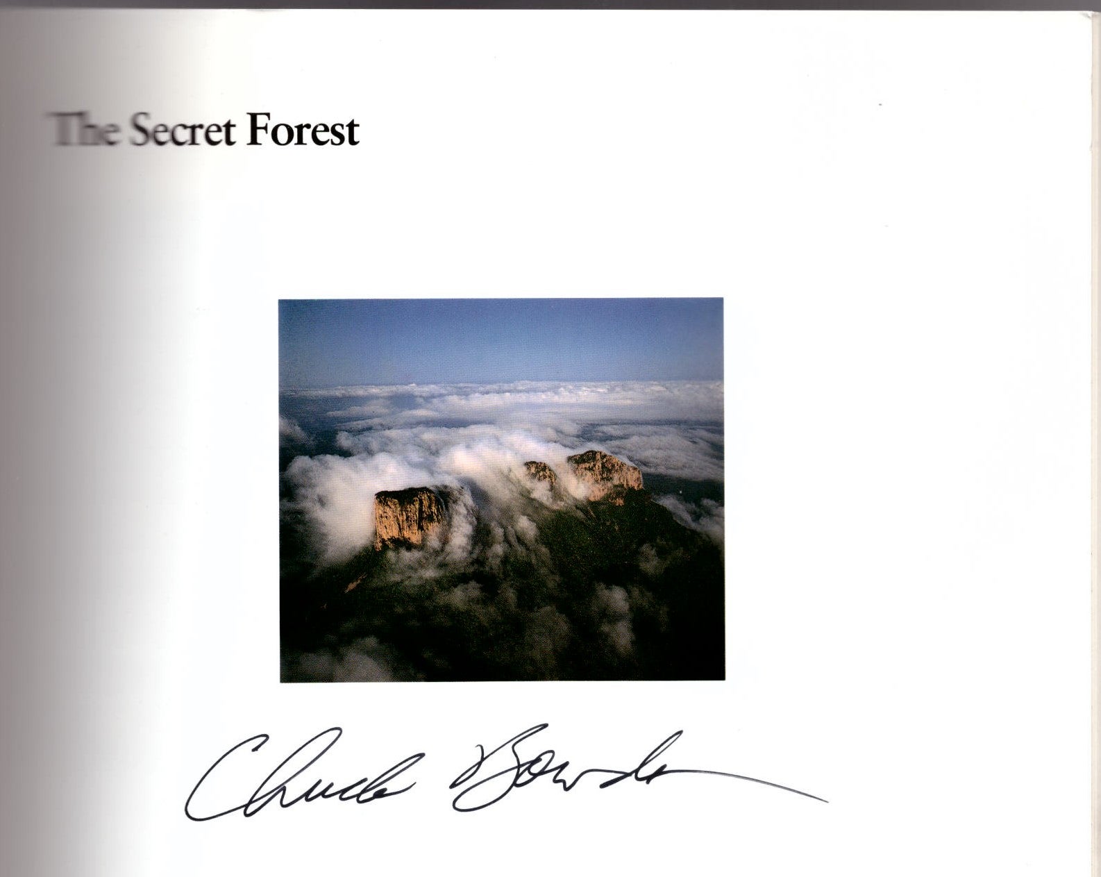 The Secret Forest by Bowden, Charles; Dykinga, Jack W. (Photographer ...