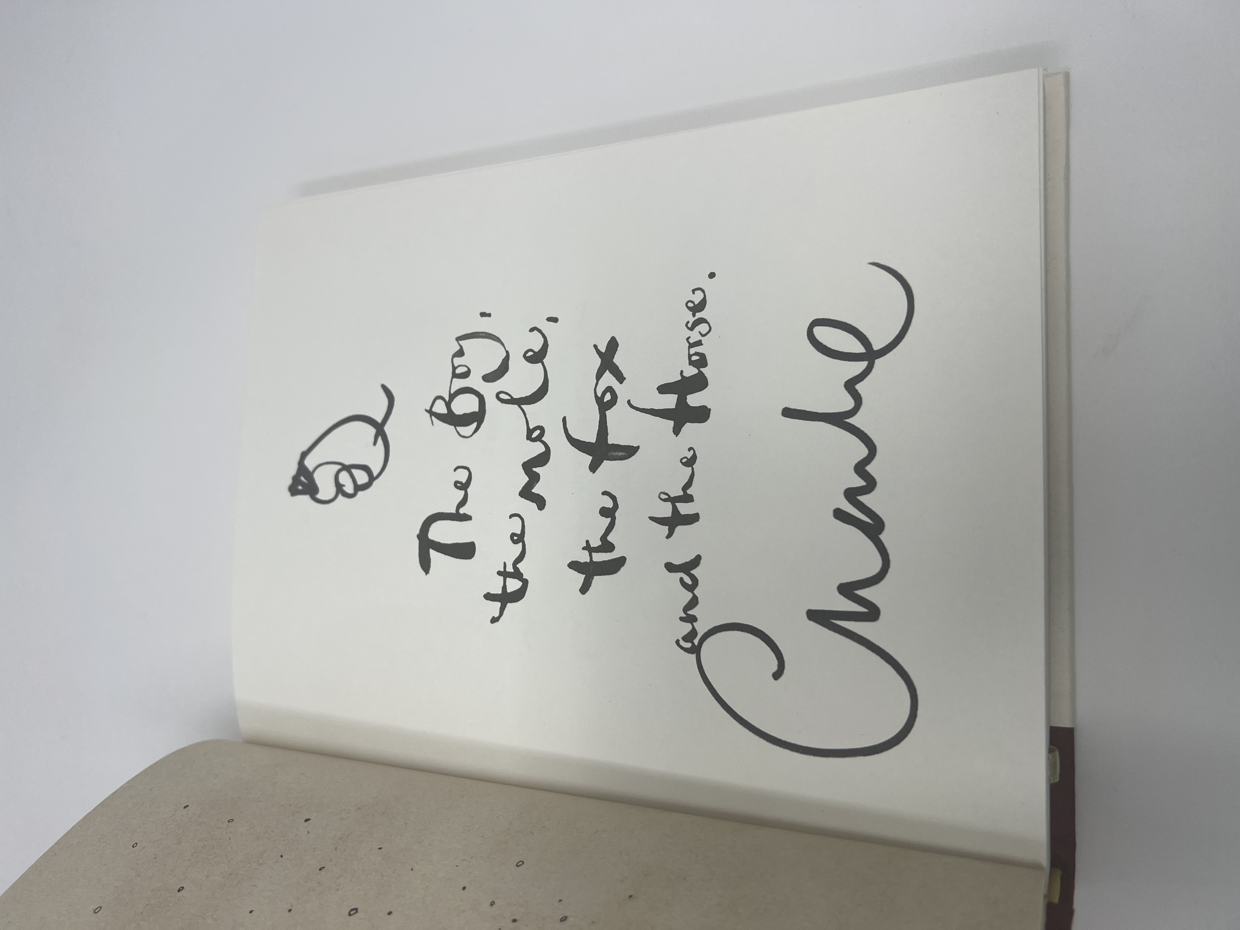 The Boy, The Mole, The Fox and The Horse SIGNED by Charlie Mackesy 1st ...