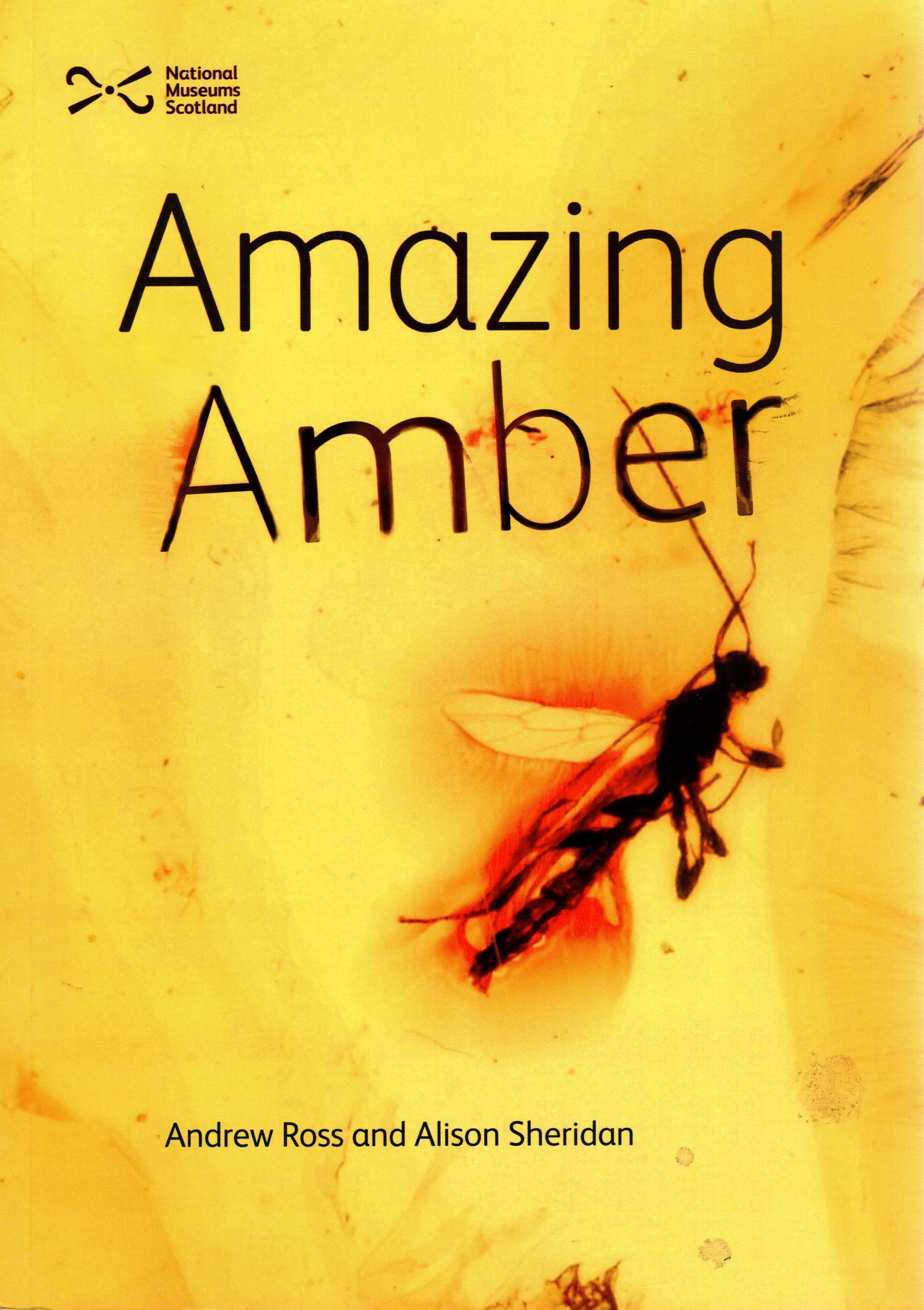 Amazing Amber by Ross Andrew and Sheridan Alison: Very Good++ Soft ...