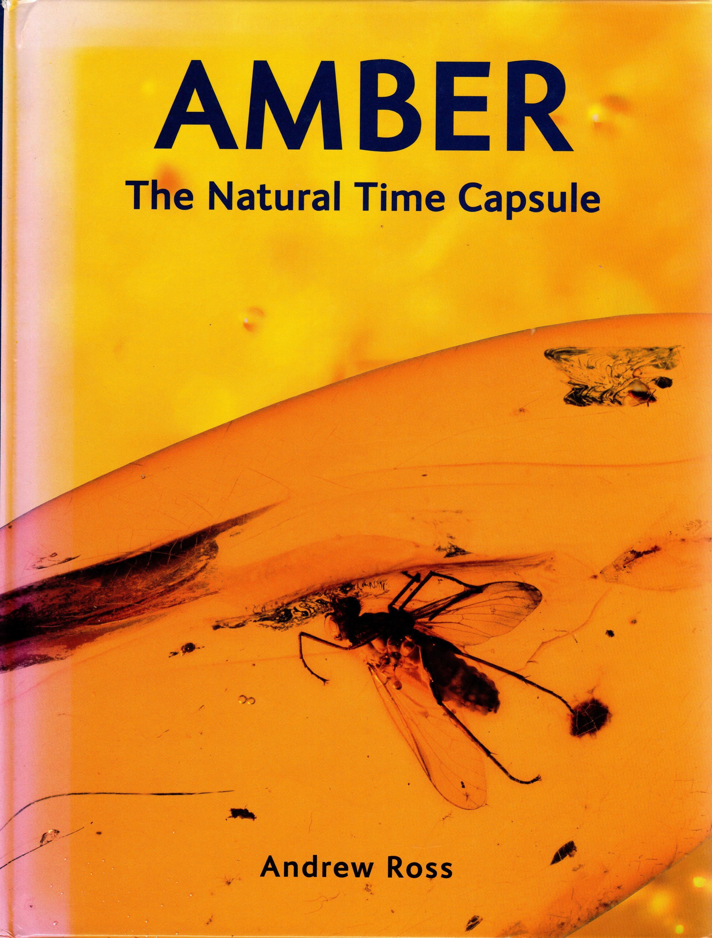 Amber The Natural Time Capsule by Ross Andrew: Very Good++ Hardcover ...