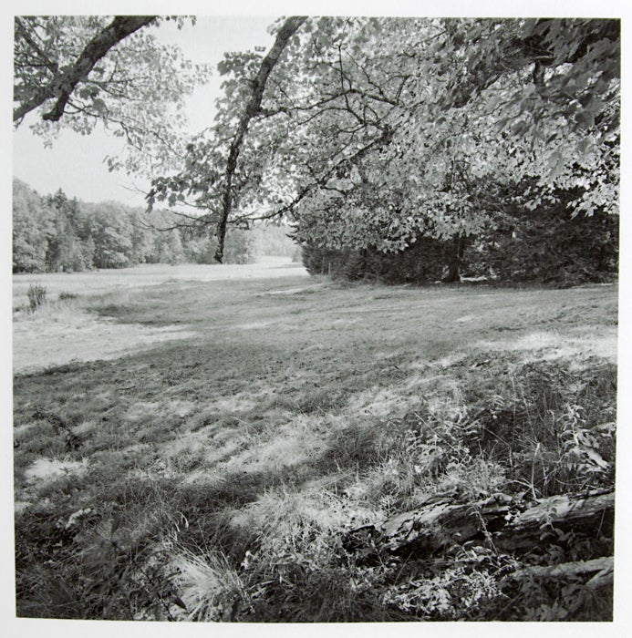 Silence is an Orchard by Rian, Kirsten: (2010) | Bromer Booksellers ... Silence is an Orchard by Rian, Kirsten: (2010) | Bromer Booksellers ...