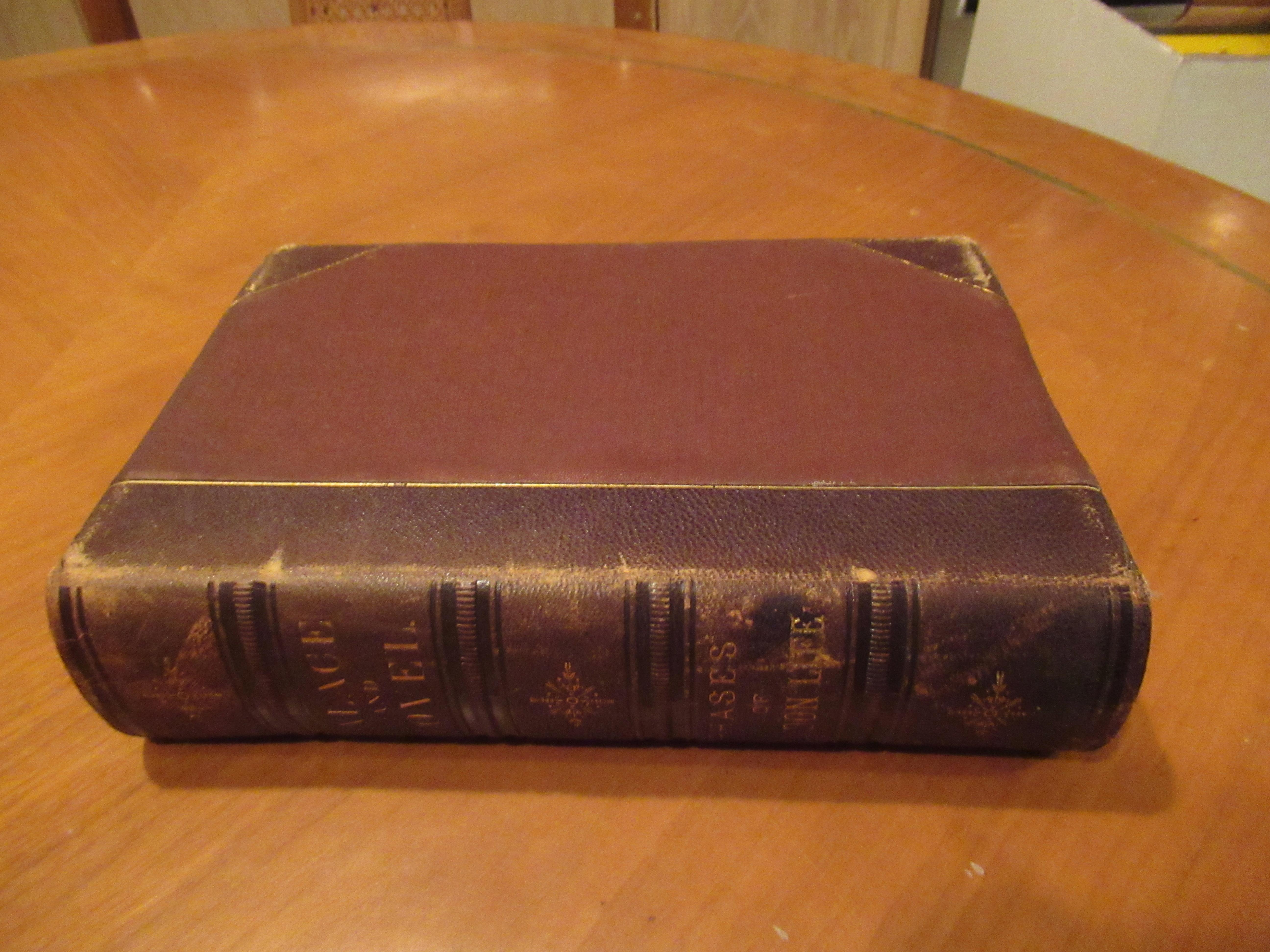 Palace And Hovel:; Or, Phases Of London Life, Being Personal ...