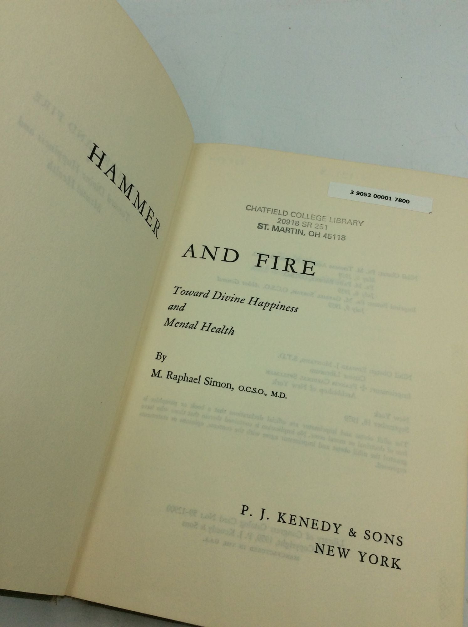 HAMMER AND FIRE: Toward Divine Happiness and Mental Health de M ...
