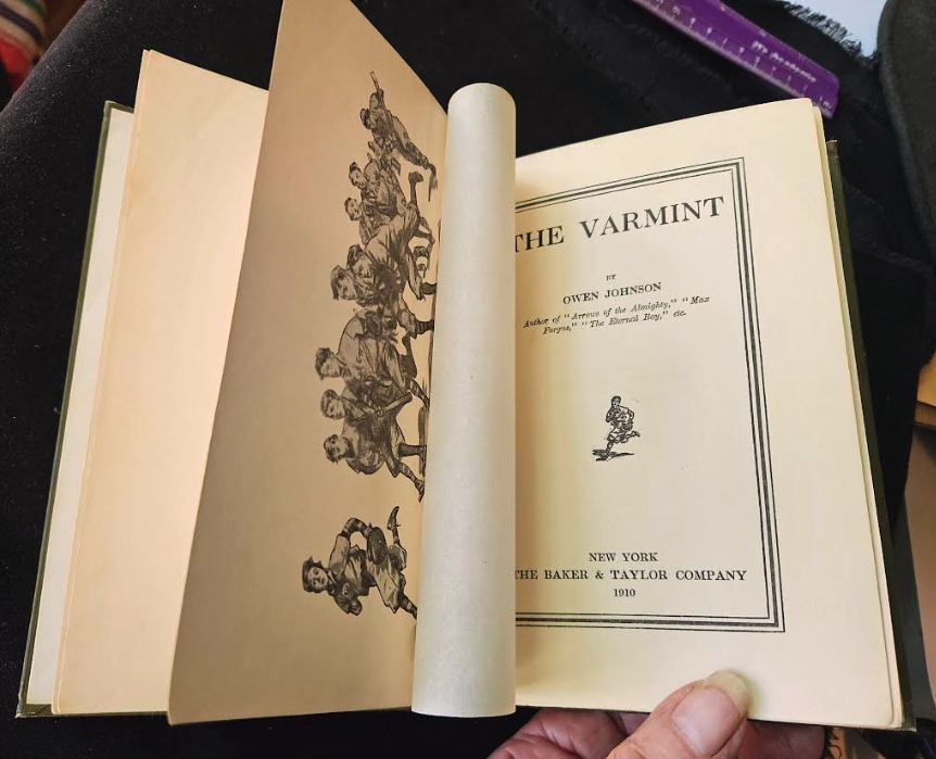 The Varmint. by Johnson, Owen.: Near Fine Hardcover (1910) 1st Edition ...