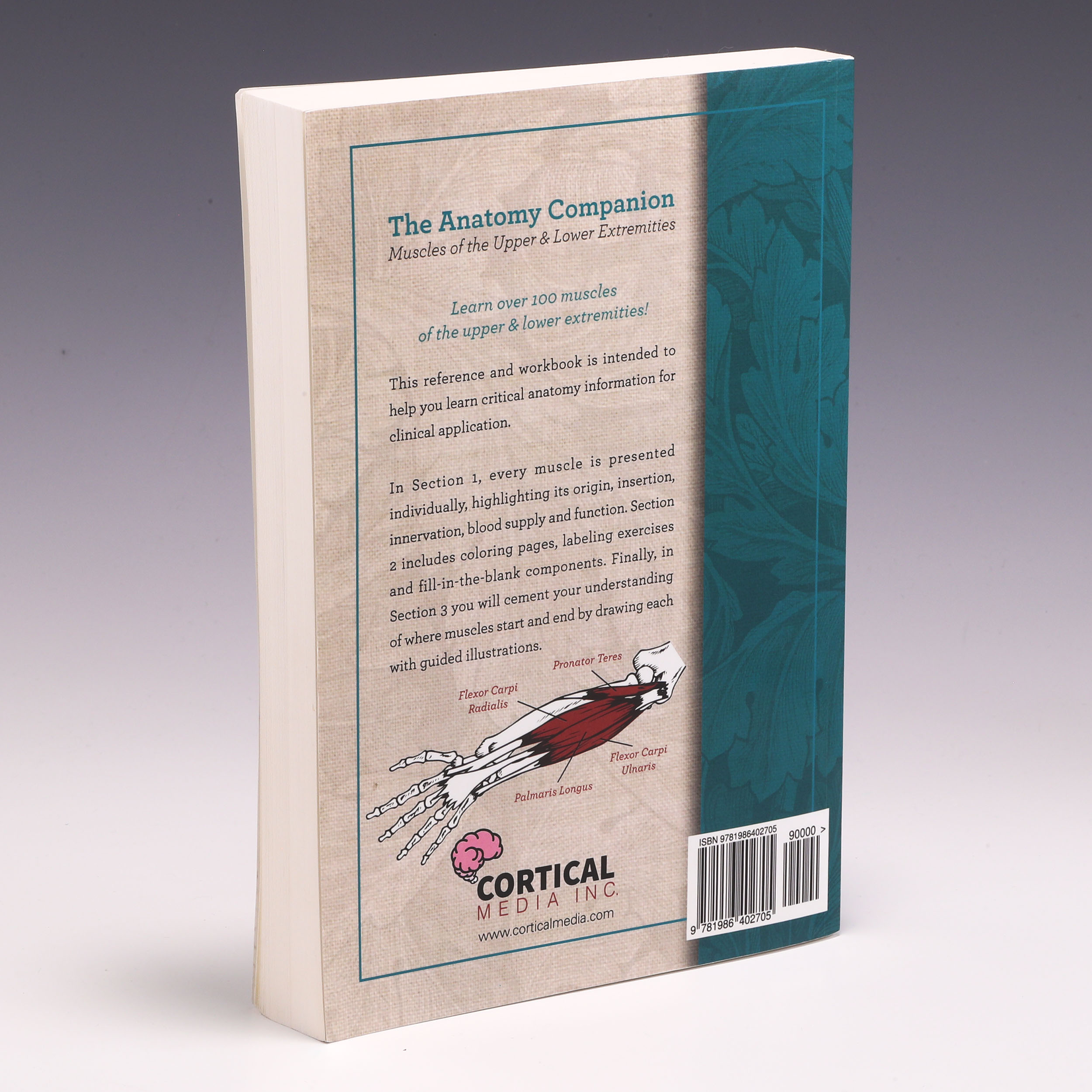 The Anatomy Companion: Muscles of the Upper and Lower Extremities (The ...