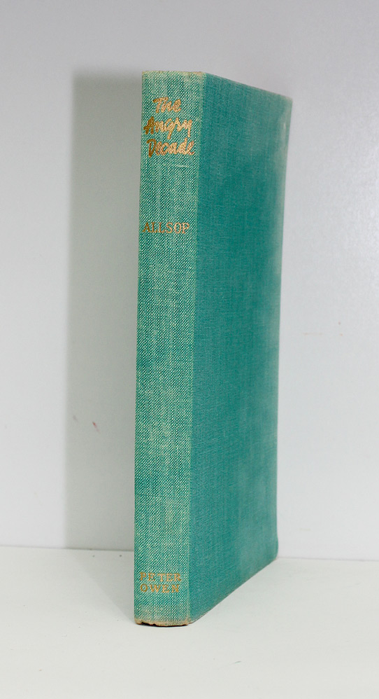 The Angry Decade A Survey of the Cultural Revolt of the Nineteen ...