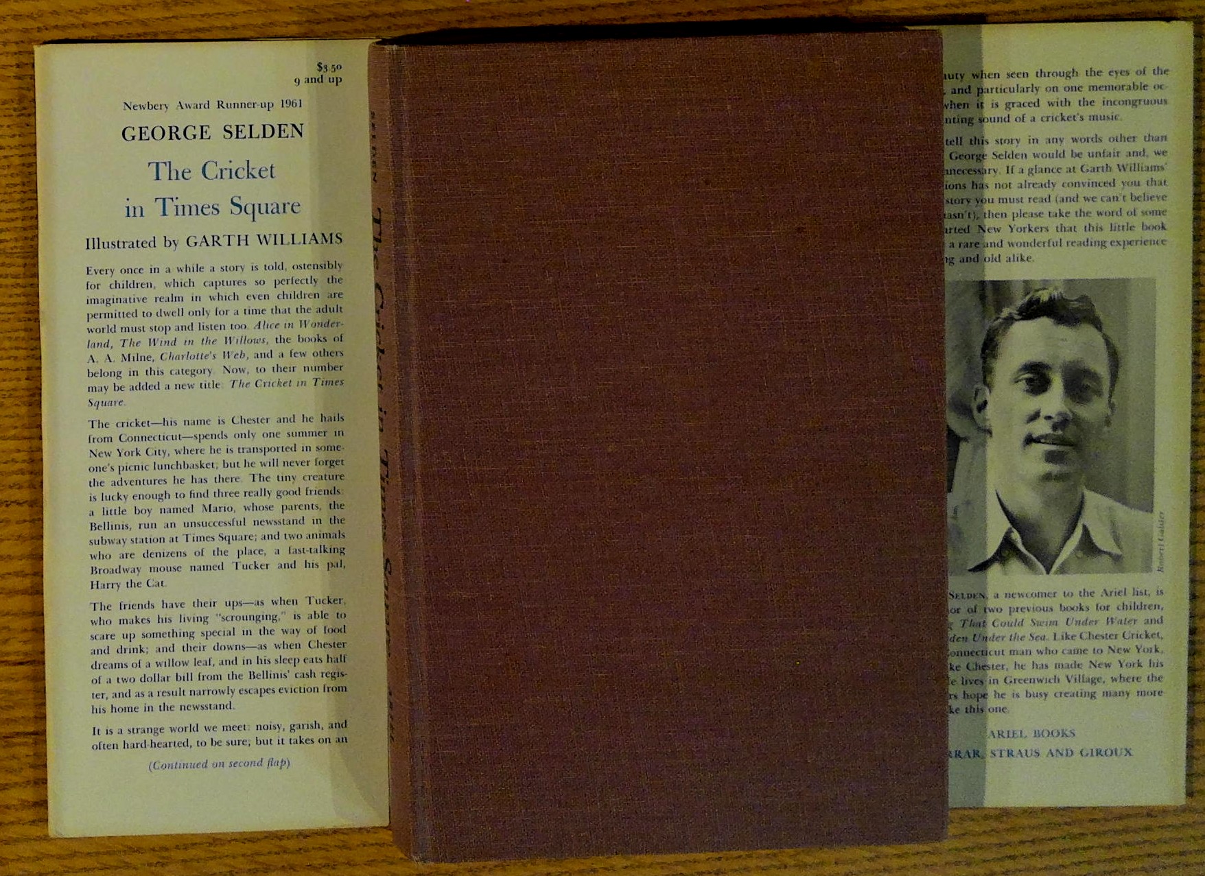 The Cricket in Times Square by Selden, George: Very Good Hard Cover ...