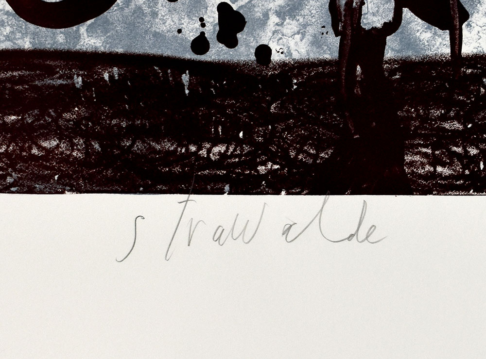 Szene. [19]95. [Signierte Original-Farblithografie / signed original ...