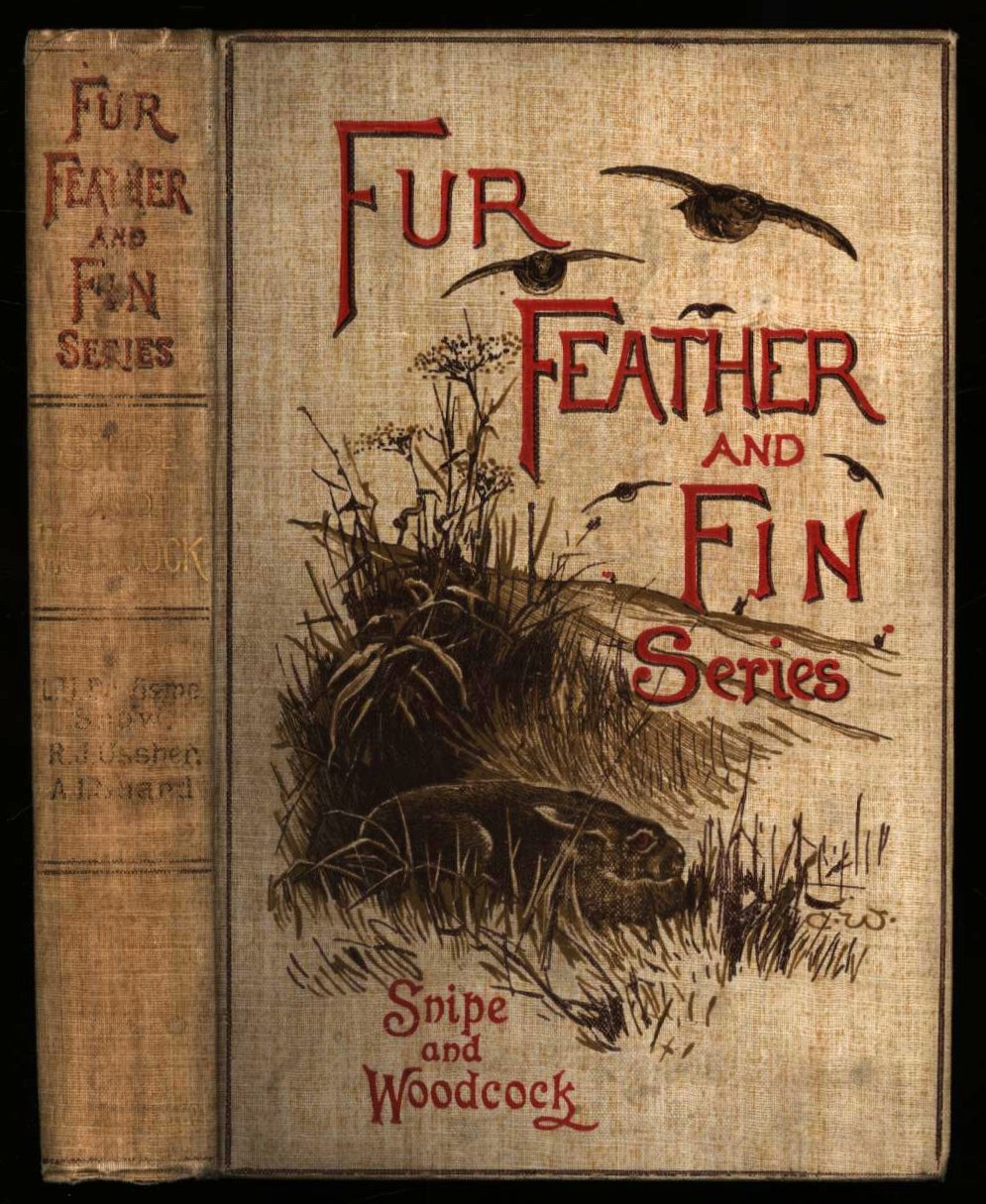 Snipe and Woodcock. Fur, Feather & Fin Series by L. H. de Visme Shaw ...
