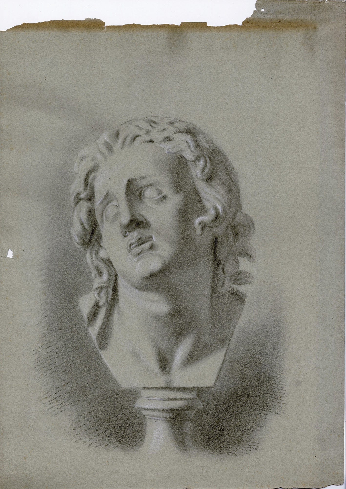 Study of the Pergamene Head, or The Dying Alexander by Unknown Artist ...