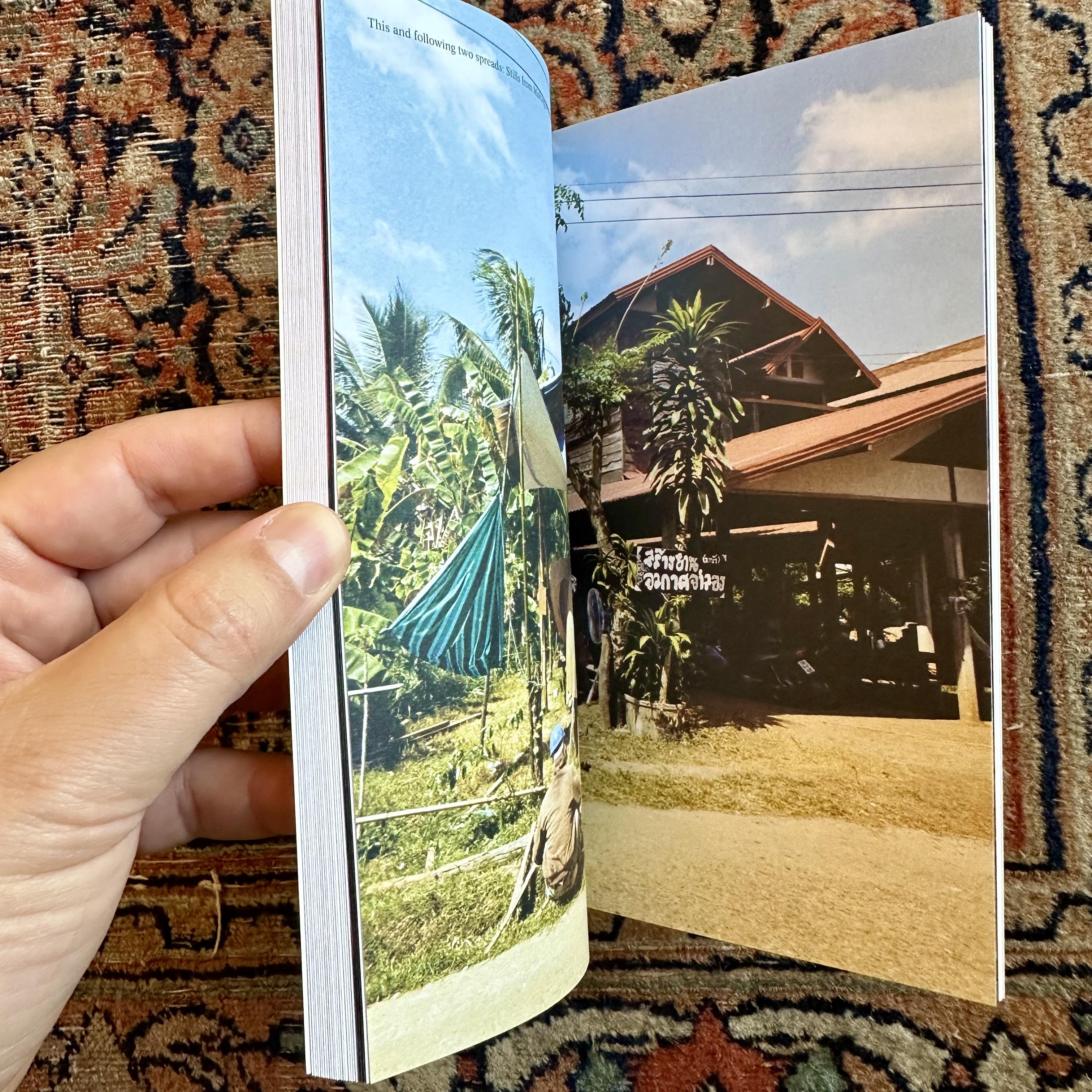 Apichatpong Weerasethakul: Primitive (NEW MUSEUM) by Inouye, Ryan ...