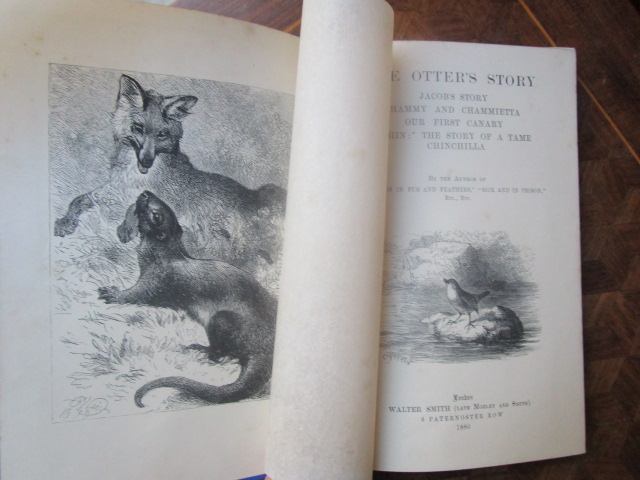 The Otters story etc. by GWYNFRIN (Dorothea Jones): Comme neuf ...