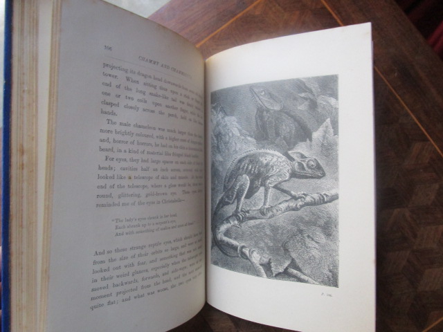 The Otters story etc. by GWYNFRIN (Dorothea Jones): Comme neuf ...