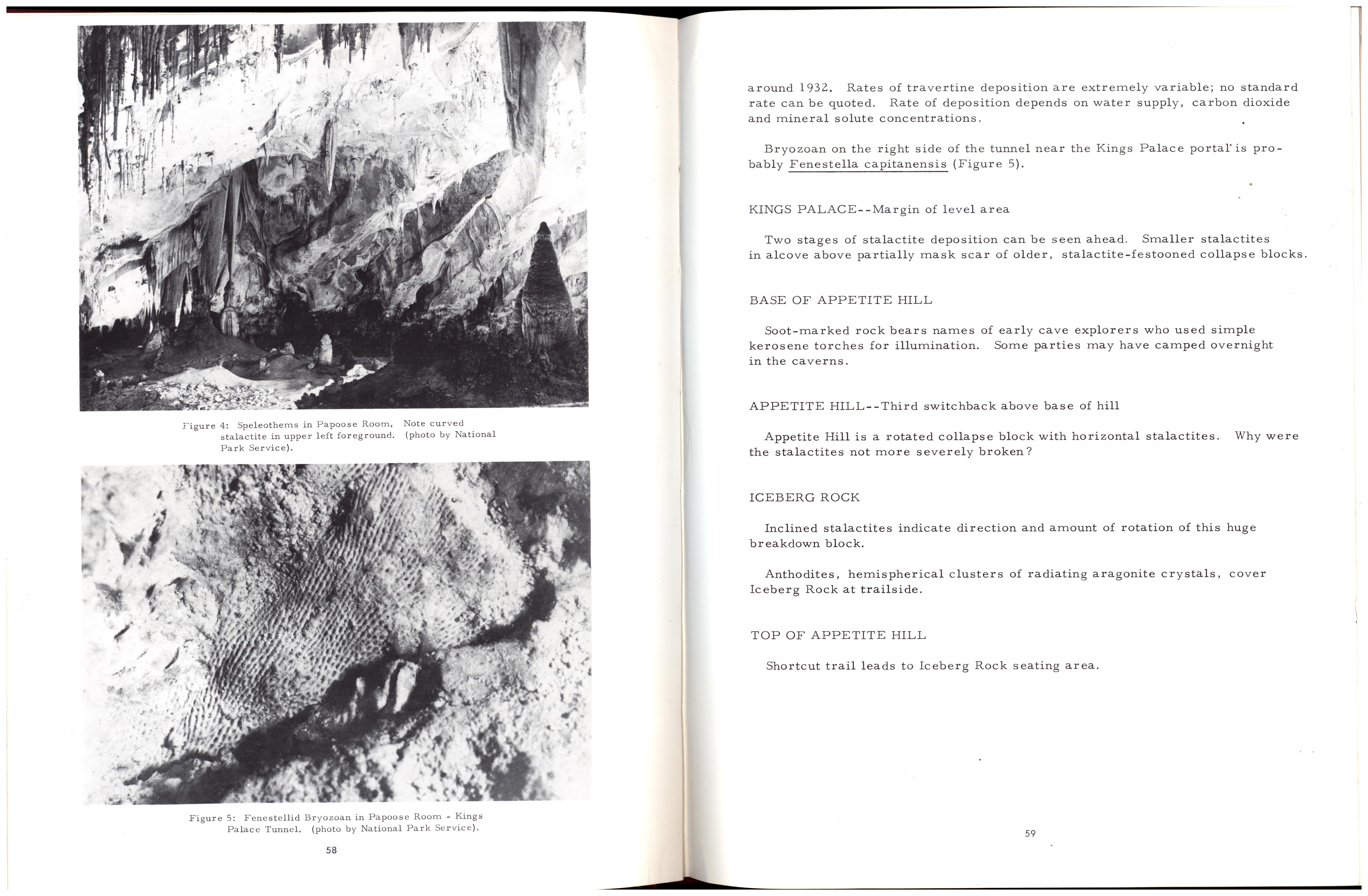 Geology of the Capitan Reef Complex of the Guadalupe Mountains ...