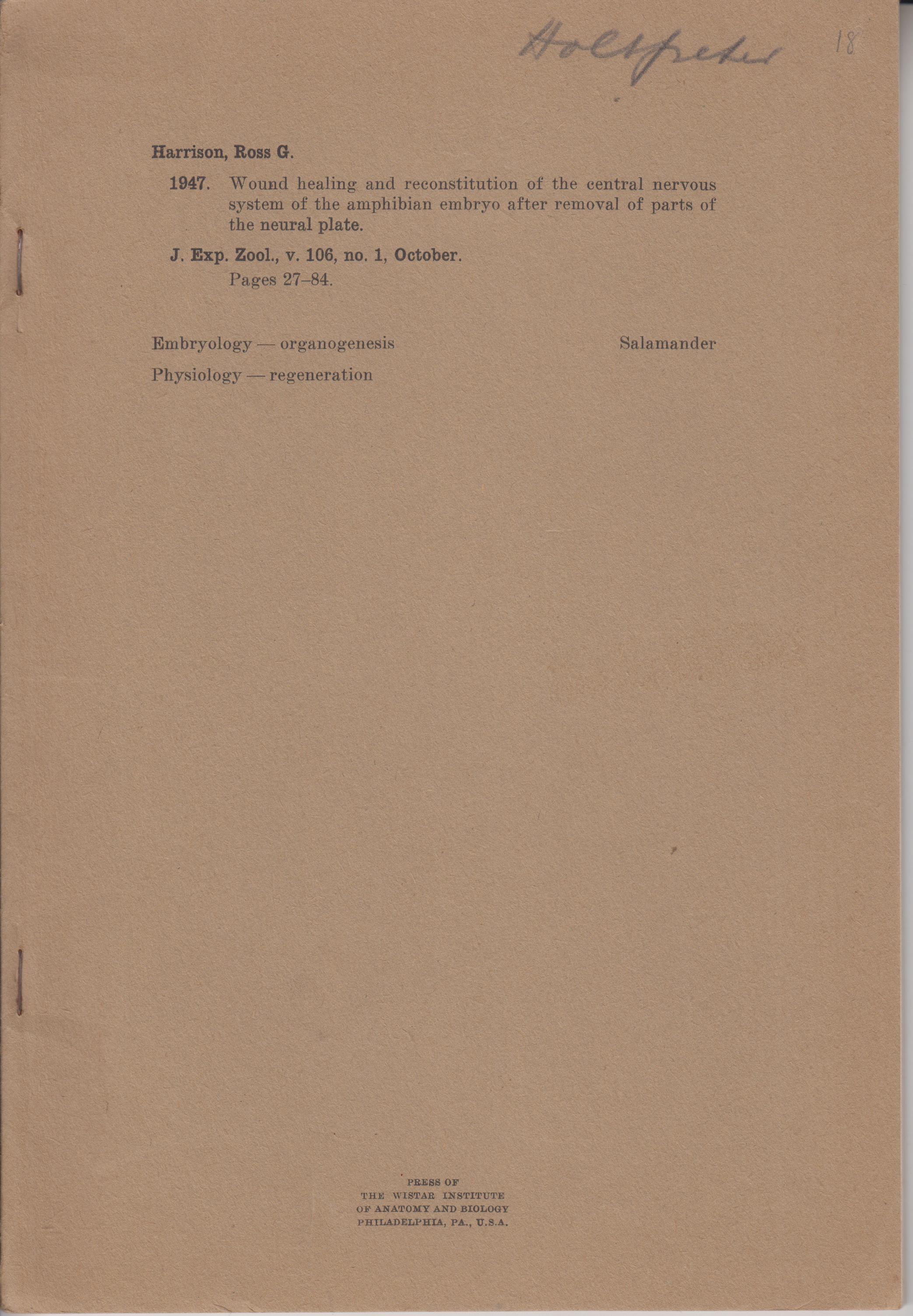 Wound healing and reconstruction of the centarl nervous system of the ...