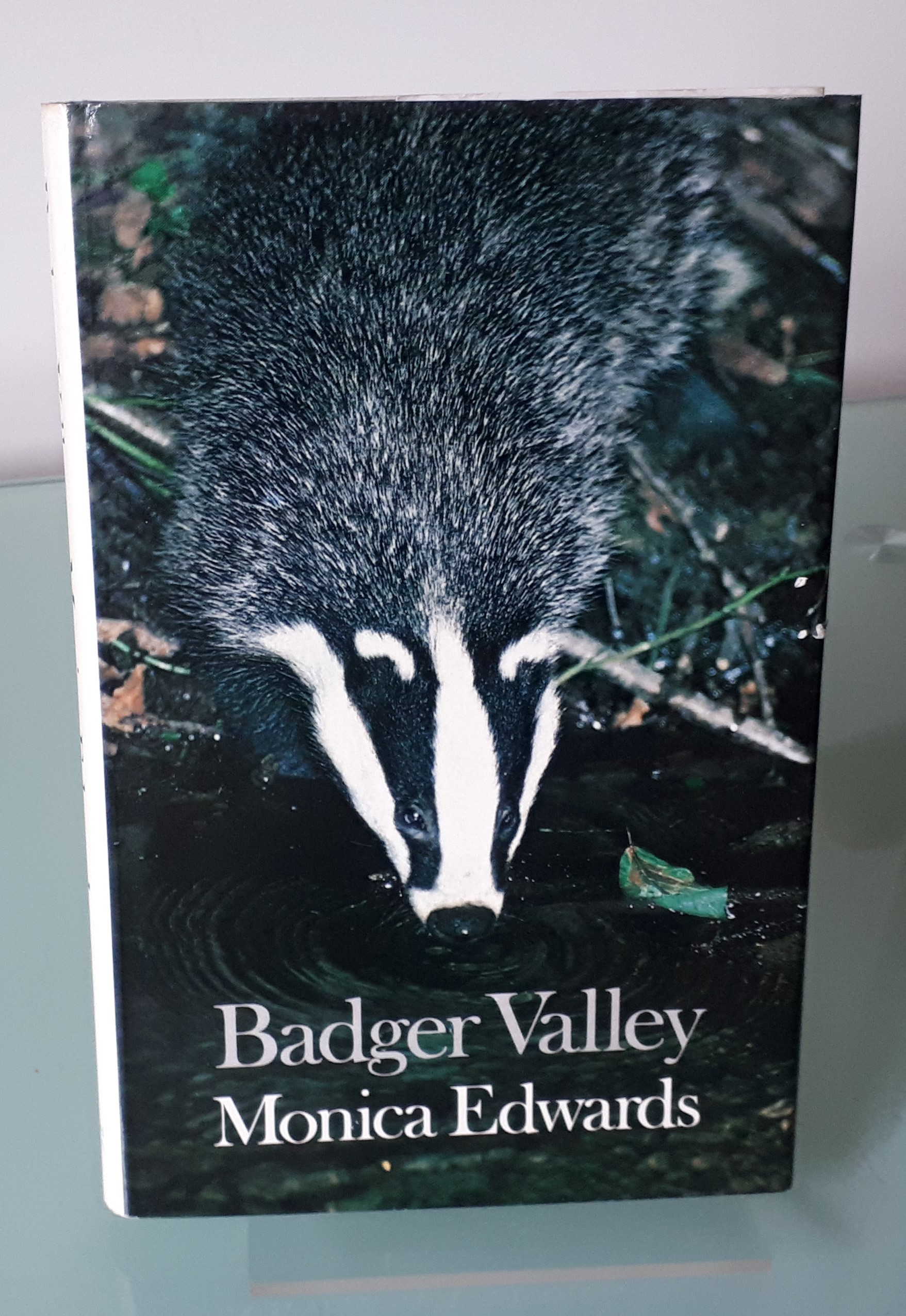 Badger Valley by Edwards, Monica: Very Good Hardcover (1976) 1st ...