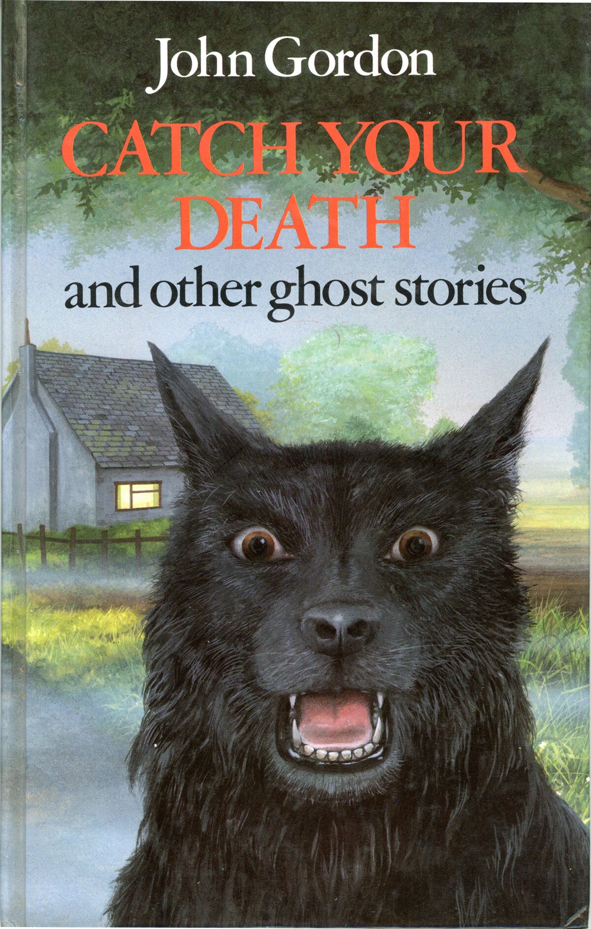 CATCH YOUR DEATH AND OTHER GHOST STORIES . by Gordon, John: (1984 ...