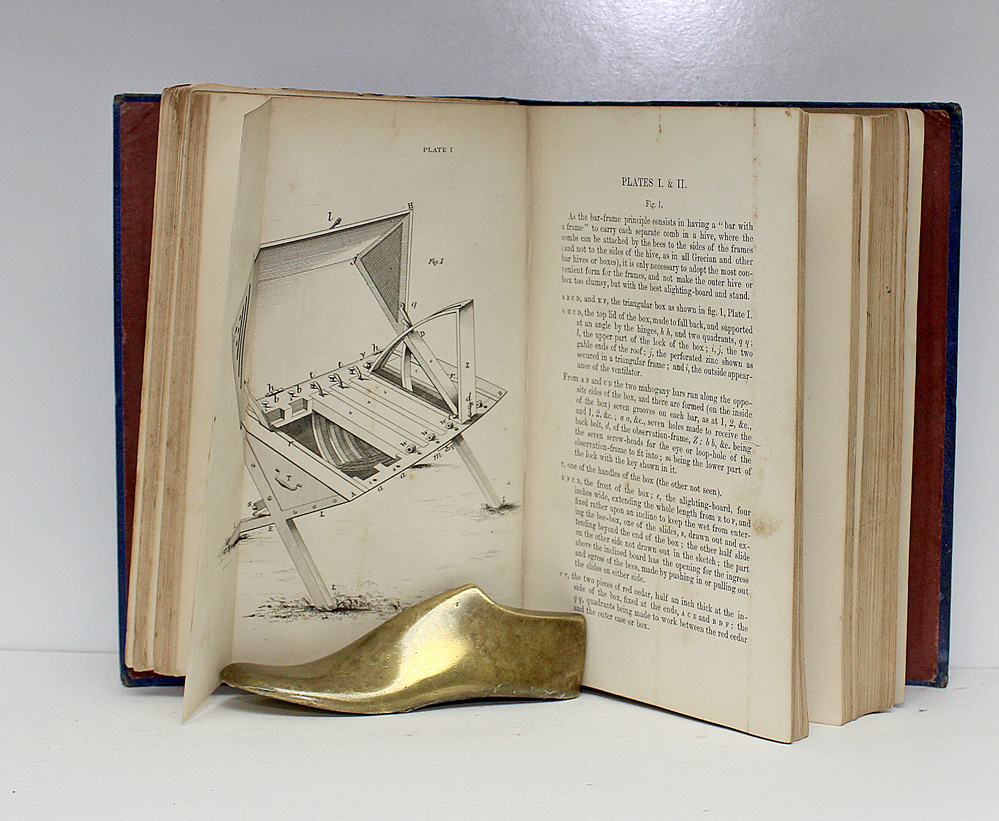 The Honey Bee, its Natural History, Physiology and Management- From the ...