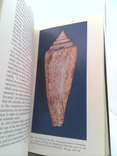 Shell collecting: An illustrated history by S Peter Dance:: Good Hardcover | ThriftBooksVintage