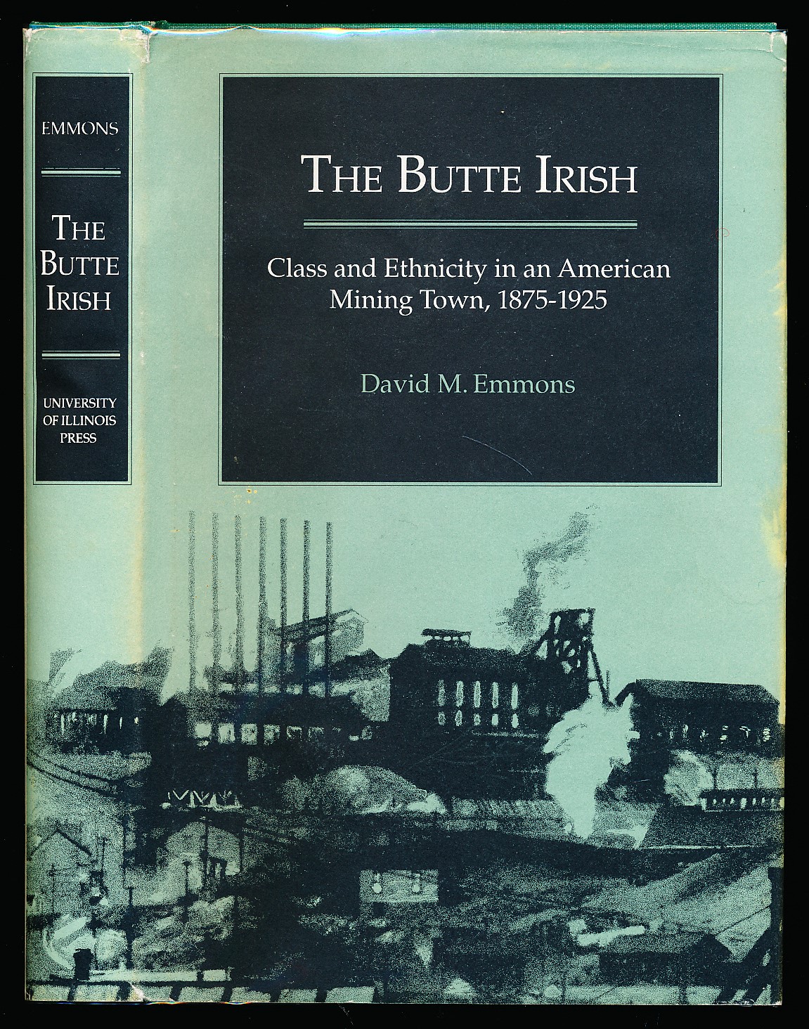The Butte Irish: Class and Ethnicity in an American Mining Town, 1875 ...