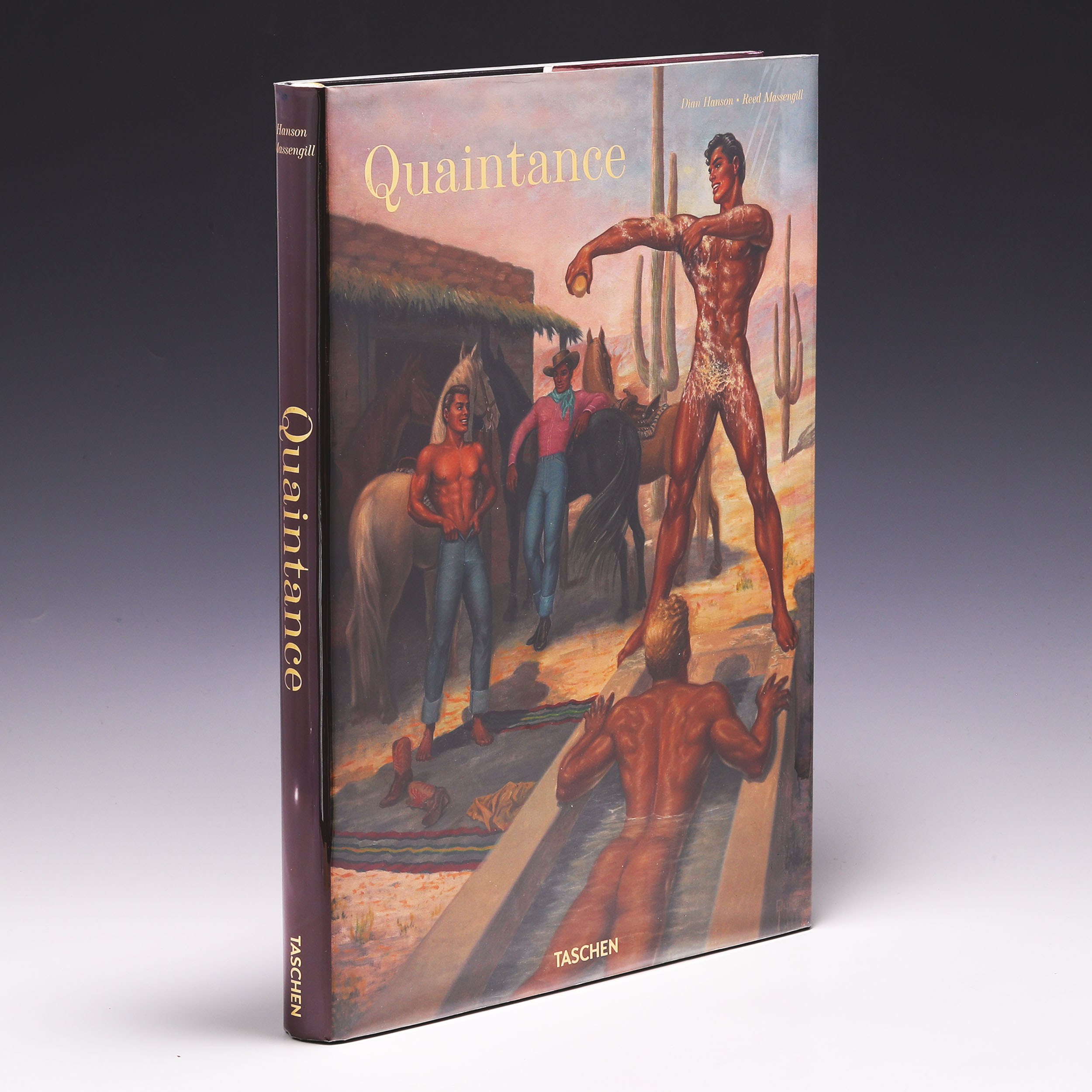 Quaintance by Reed Massengill: Very Good (2010) | Salish Sea Books