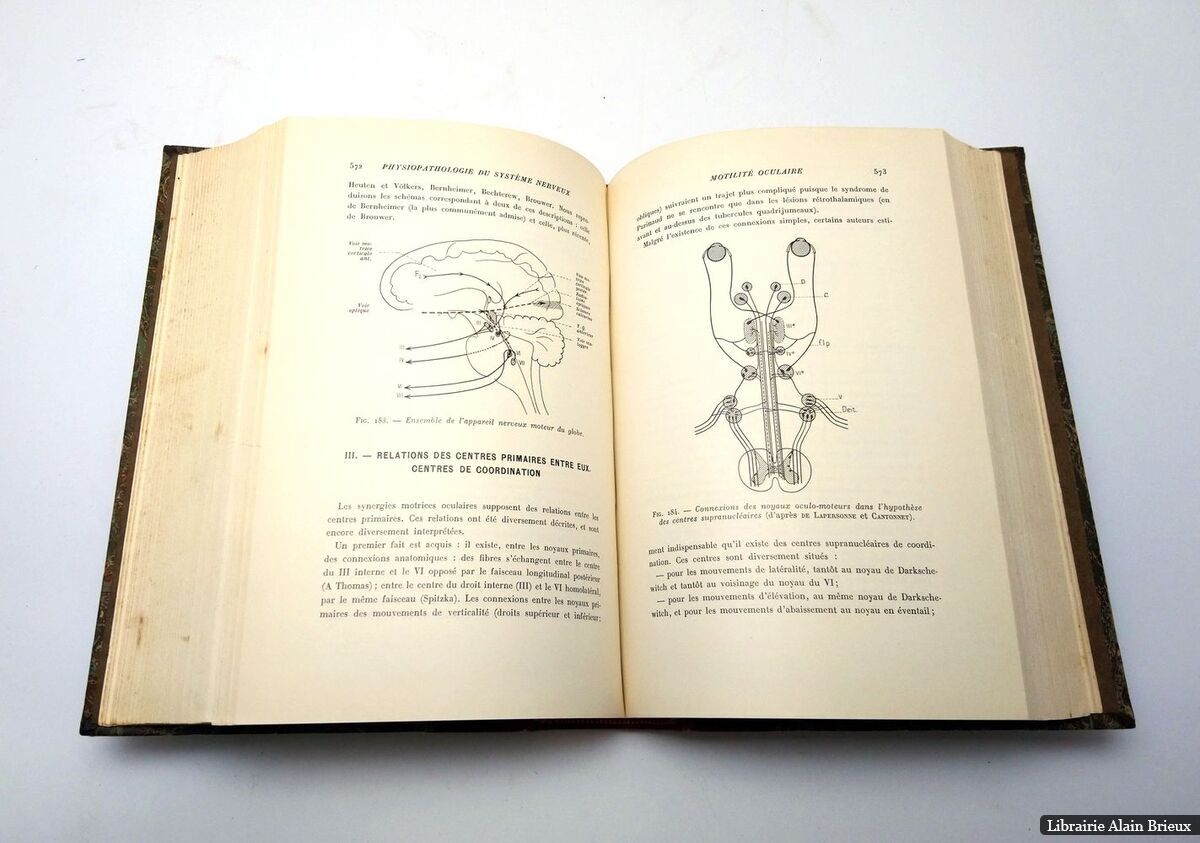 Physiopathologie du système nerveux. Du mécanisme du diagnostic by ...