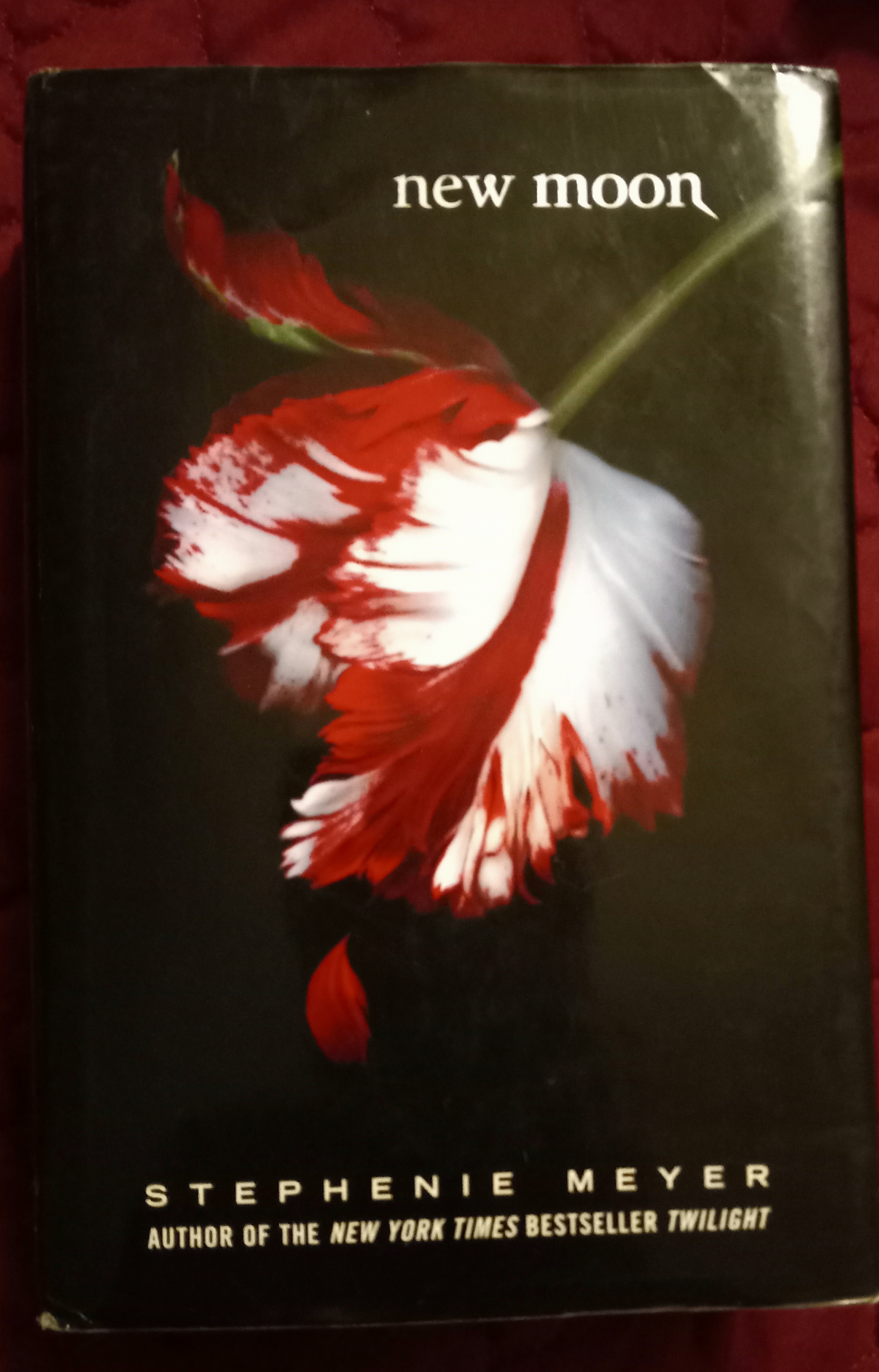 New Moon (Twilight) by Meyer, Stephenie: Fine Hardcover (2006) 1st ...