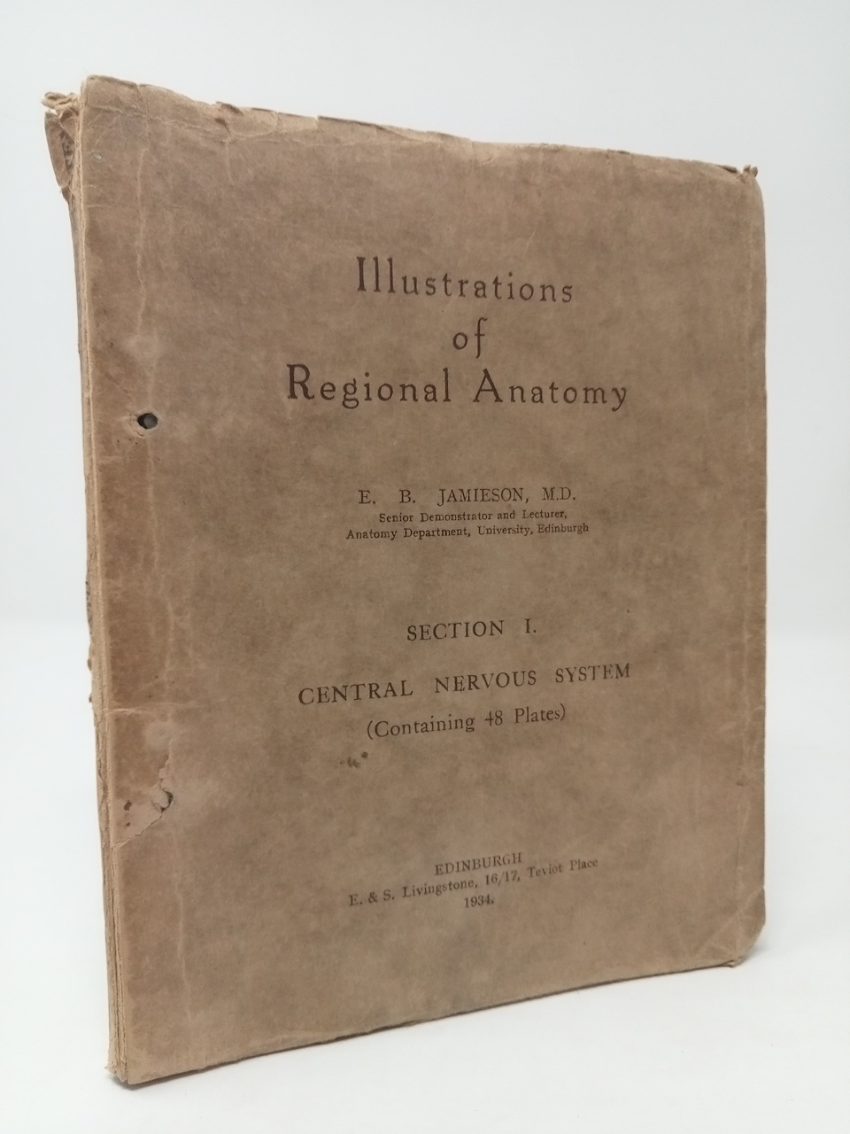 Illustrations of Regional Anatomy. Section 1: Central Nervous System ...