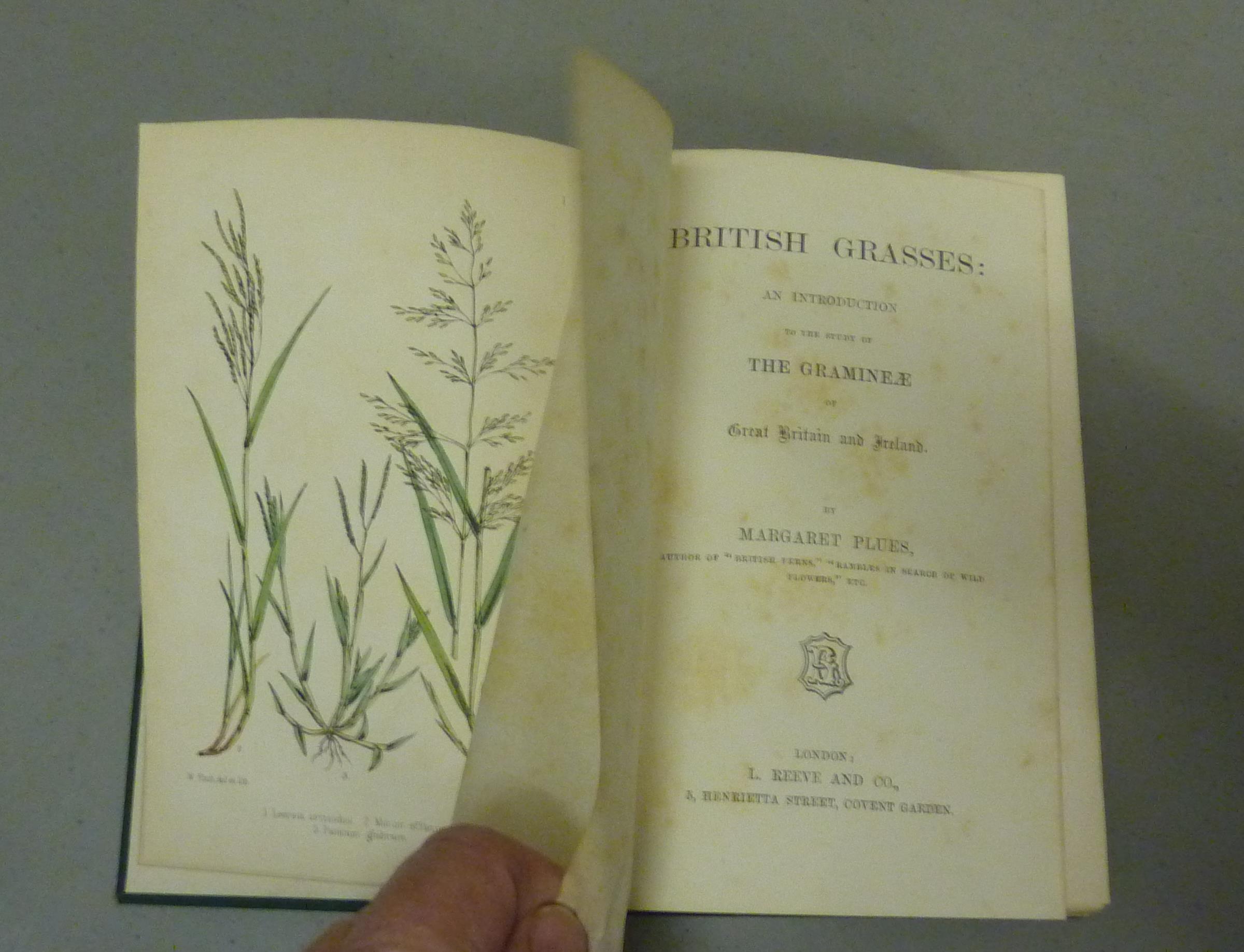 British Grasses: An Introduction to the Study of the Gramineae of Great ...