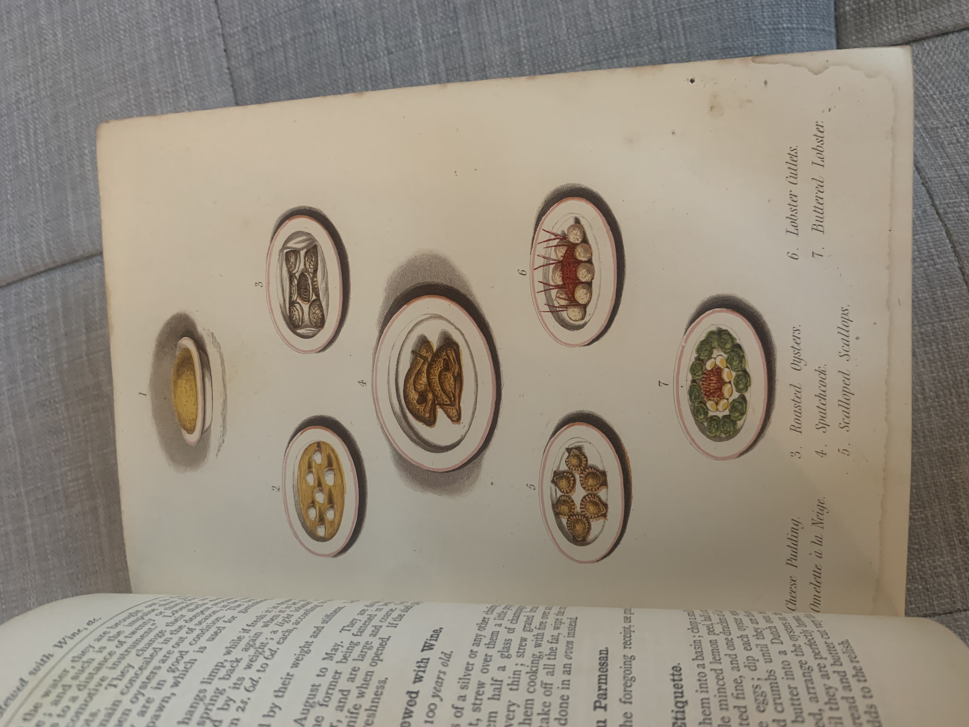 The Modern Householder, Elizabeth David's copy by Ross Murray: Good ...