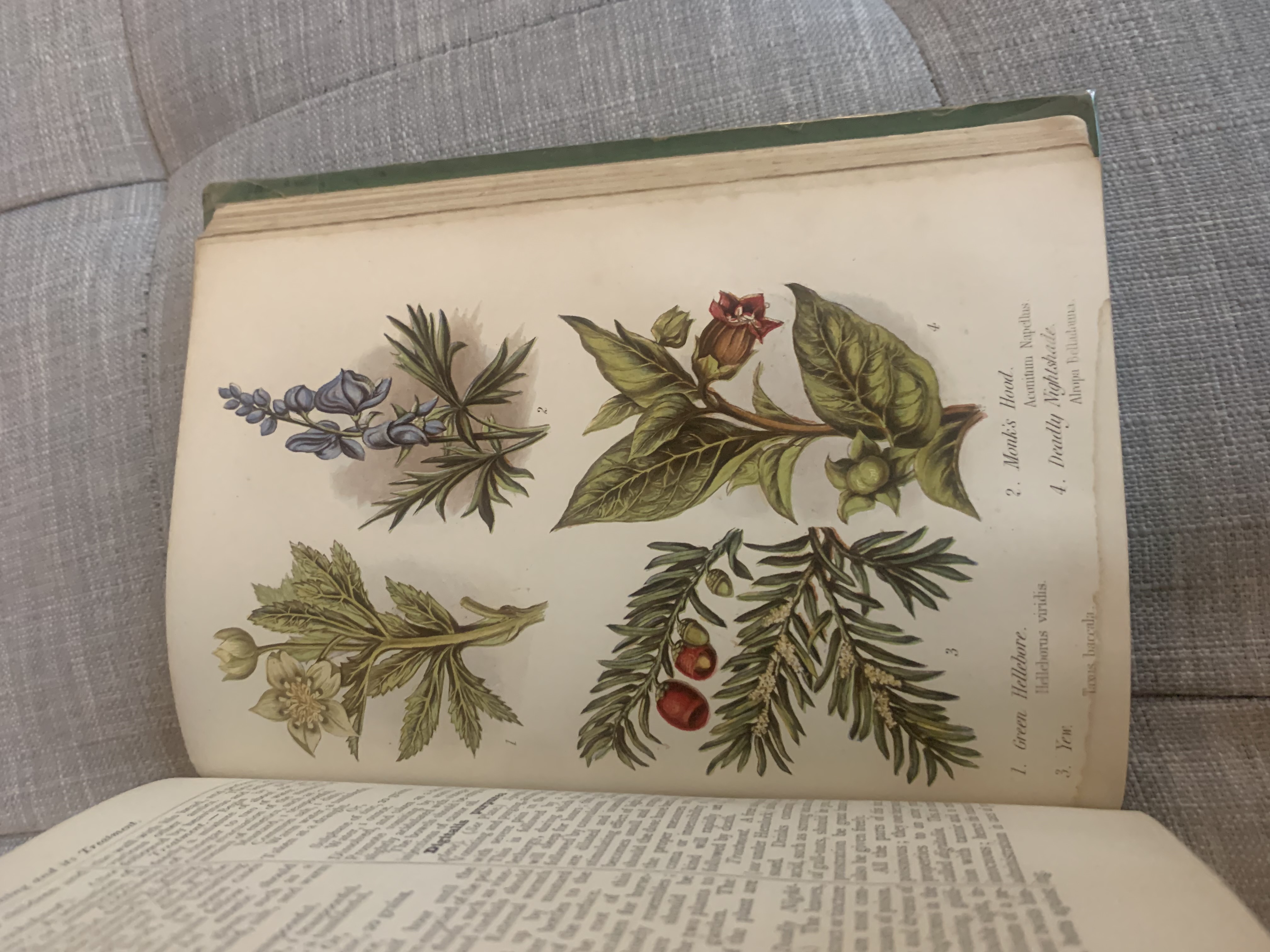 The Modern Householder, Elizabeth David's copy by Ross Murray: Good ...