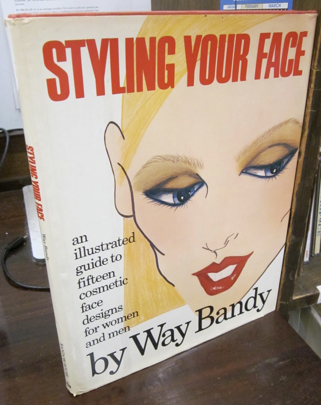 Styling Your Face: An Illustrated Guide to Fifteen Cosmetic Face ...